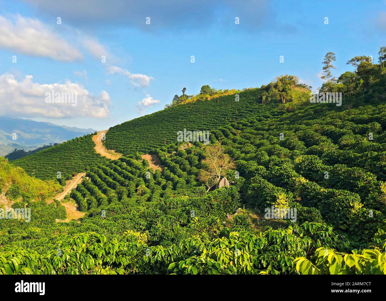 Guatemalan tourism hi-res stock photography and images - Alamy