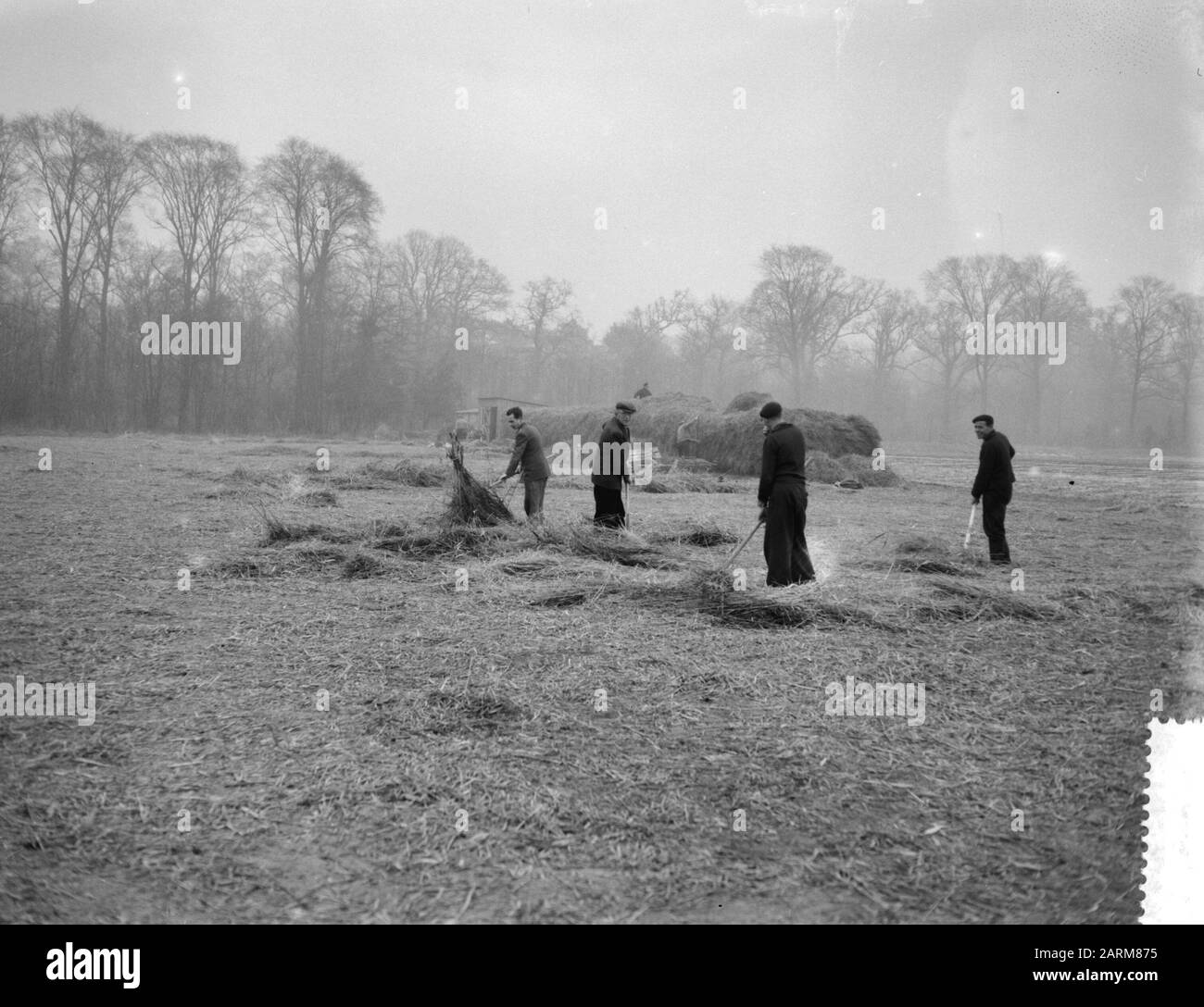 Layers of planting Black and White Stock Photos & Images - Alamy