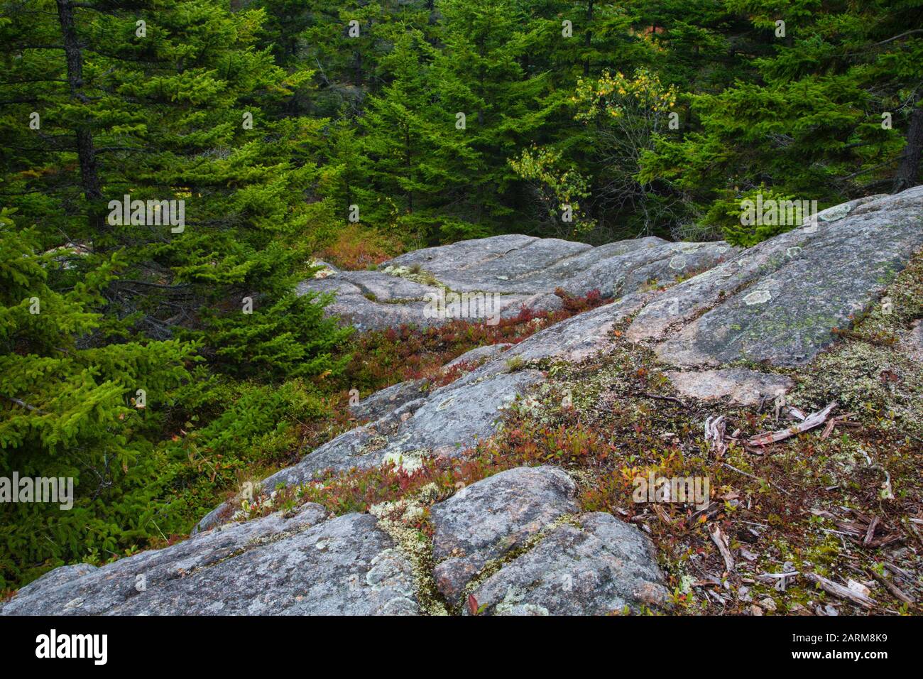 Weathered Granite and Scenic View from Beech Mountain Trail in Acadia ...