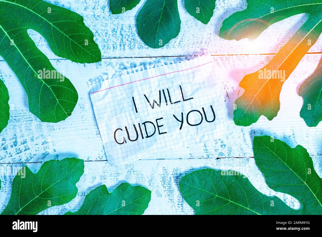 Writing note showing I Will Guide You. Business concept for Help ...