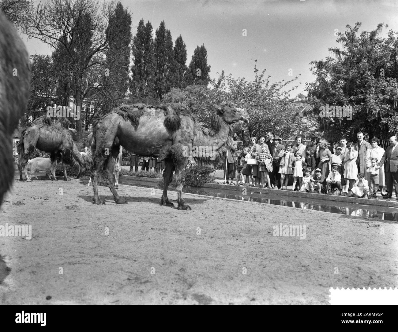 Cheap day Black and White Stock Photos & Images - Alamy