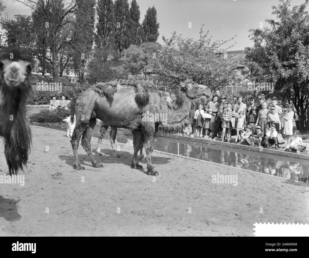 Cheap day Black and White Stock Photos & Images - Alamy