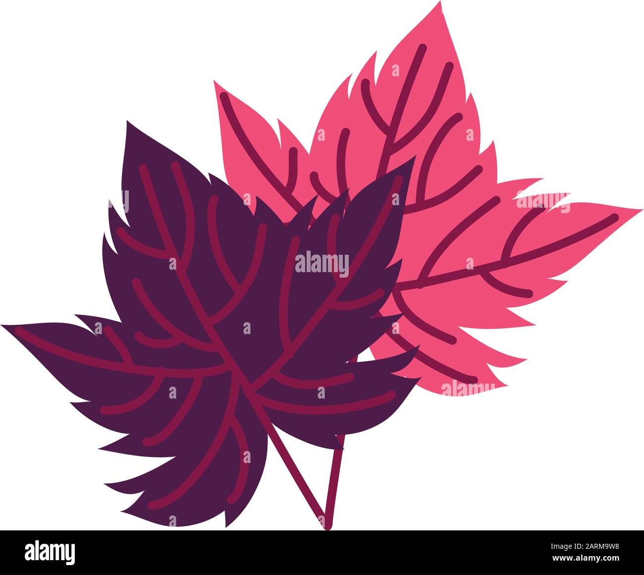 grape plant leaf nature icon Stock Vector Image & Art - Alamy