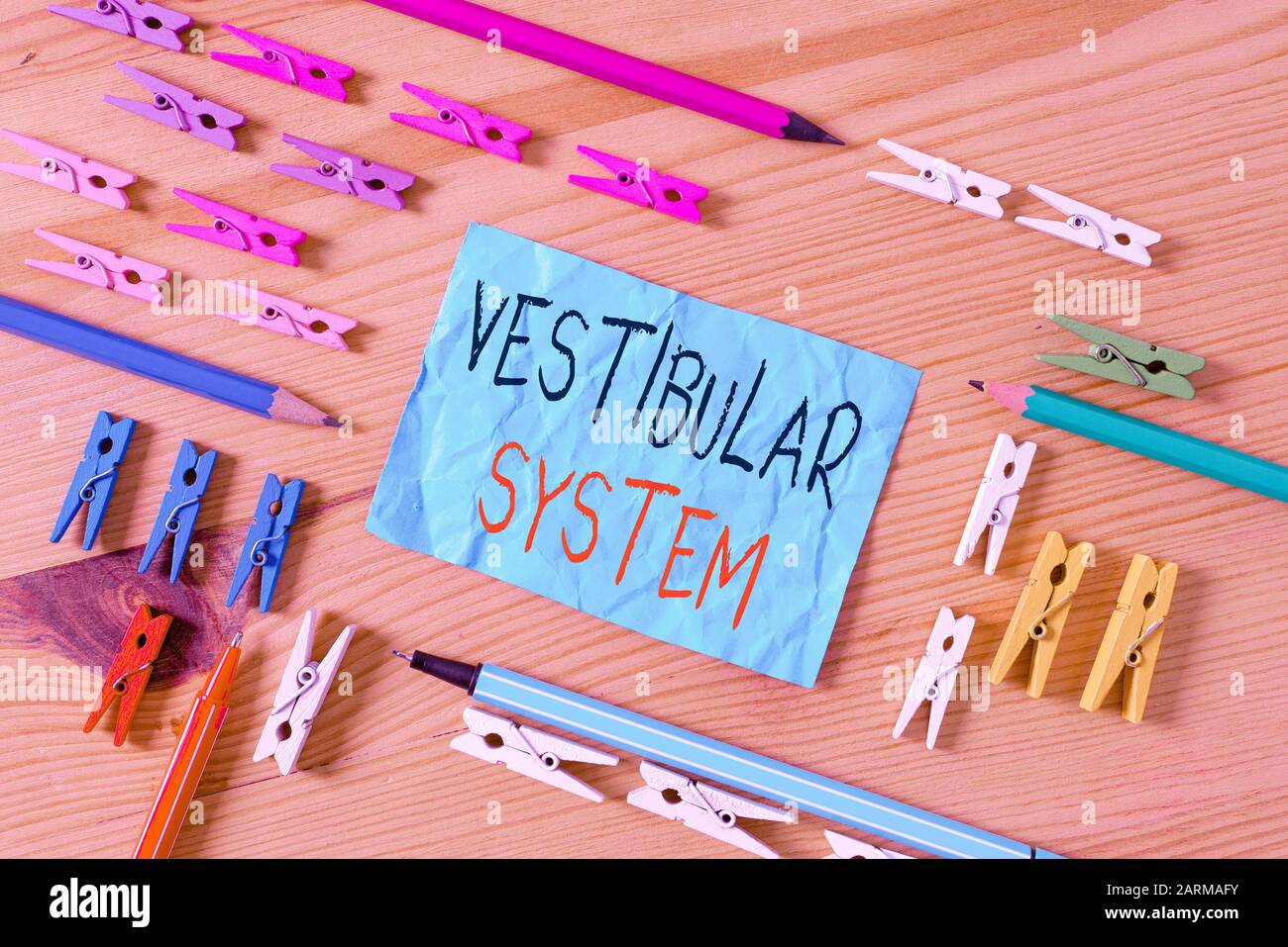 Osseous labyrinth hi-res stock photography and images - Alamy