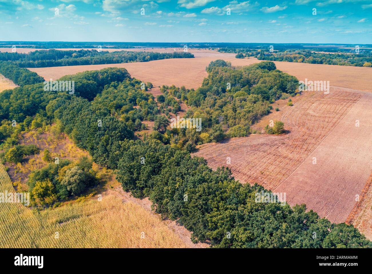 Summer rural landscape, aerial view. View of the countryside, arable ...