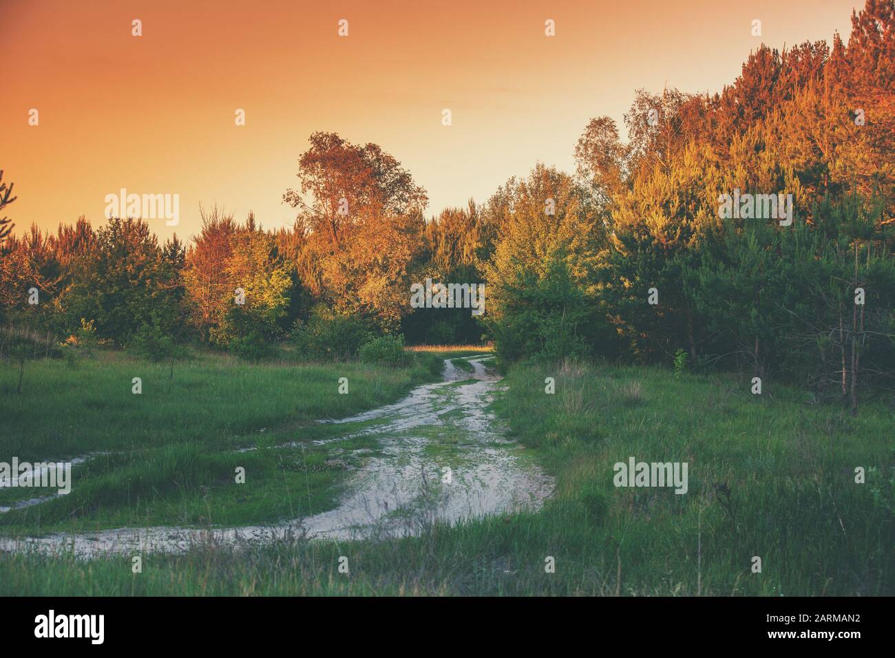 Countryside, rural landscape with forest and road at sunset light ...