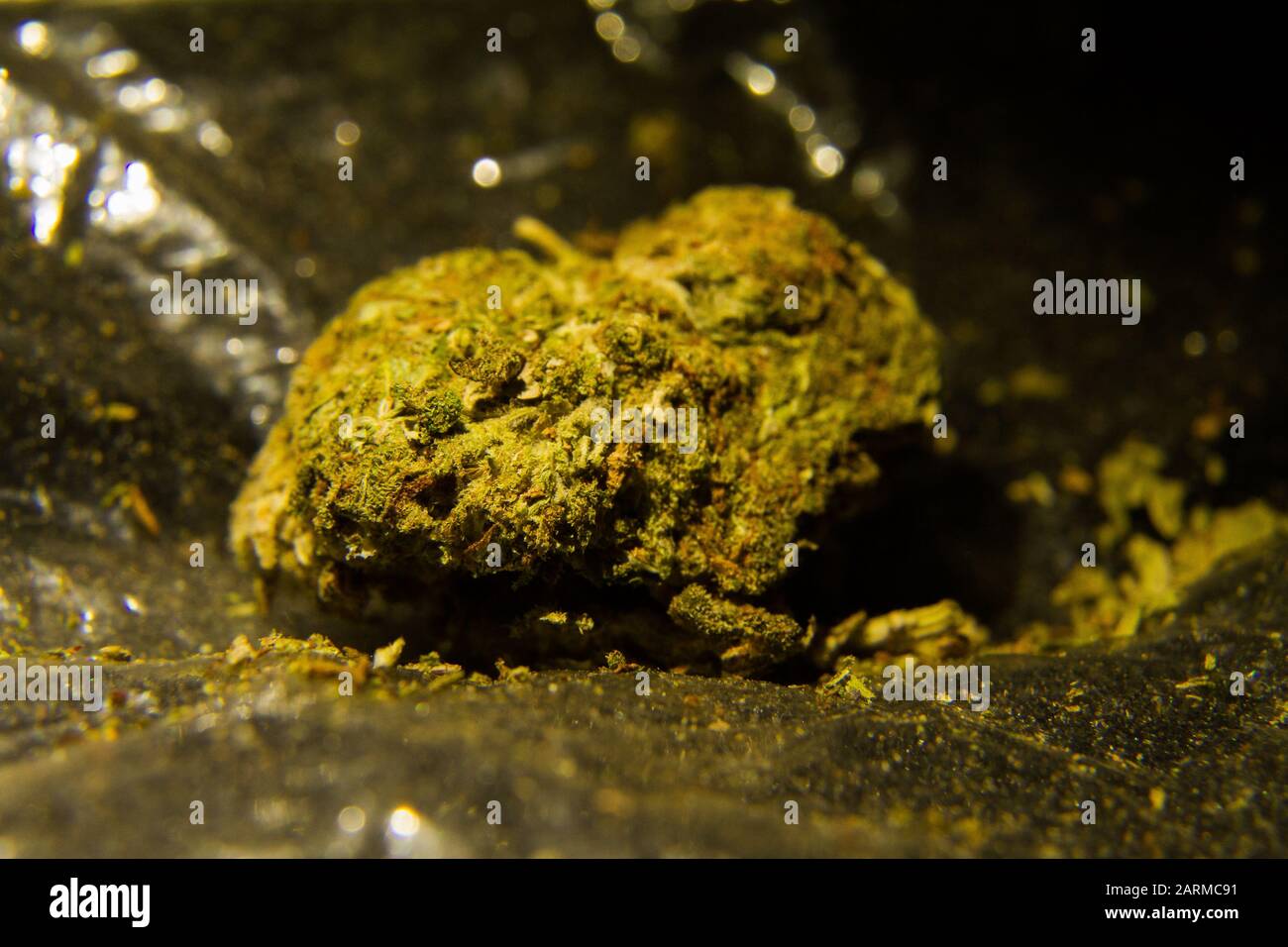 Canavis hi-res stock photography and images - Alamy