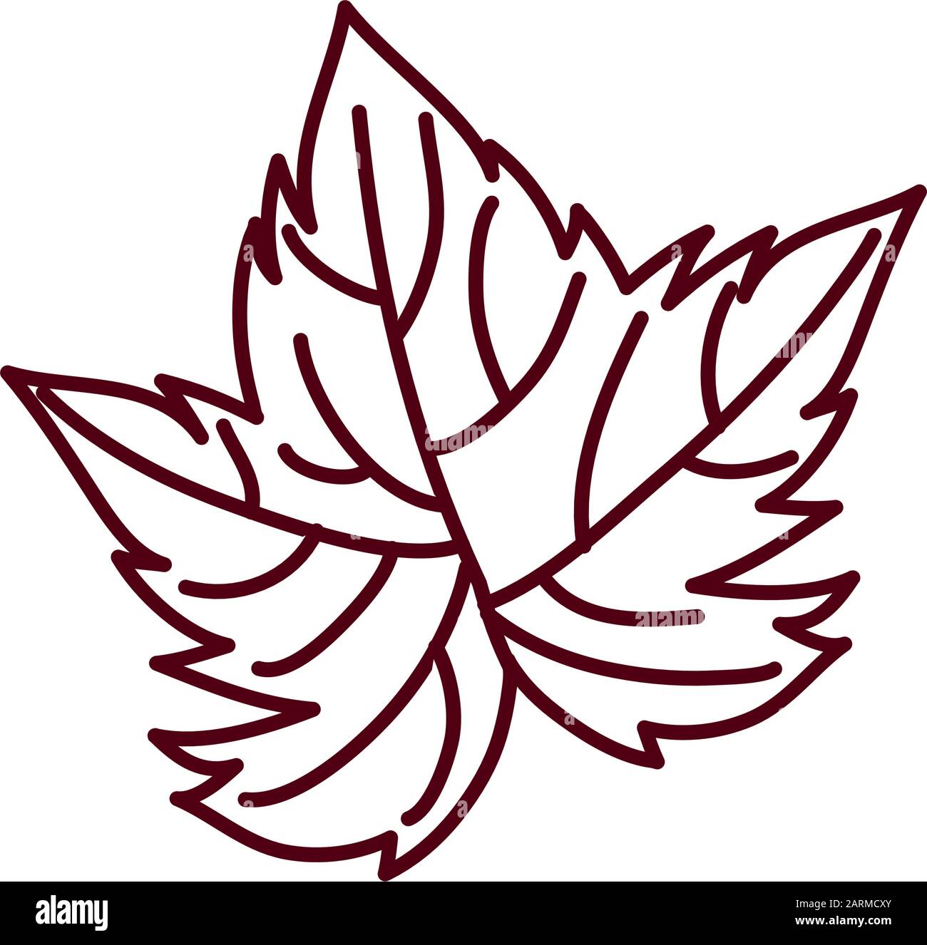 grape plant leaf nature icon Stock Vector Image & Art - Alamy