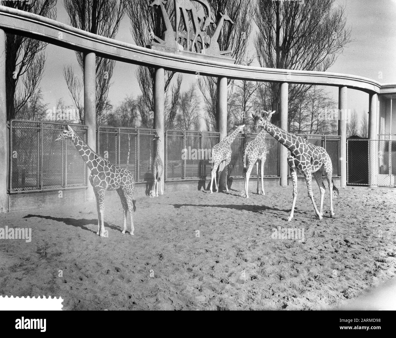 Warm weather outside Black and White Stock Photos & Images - Alamy