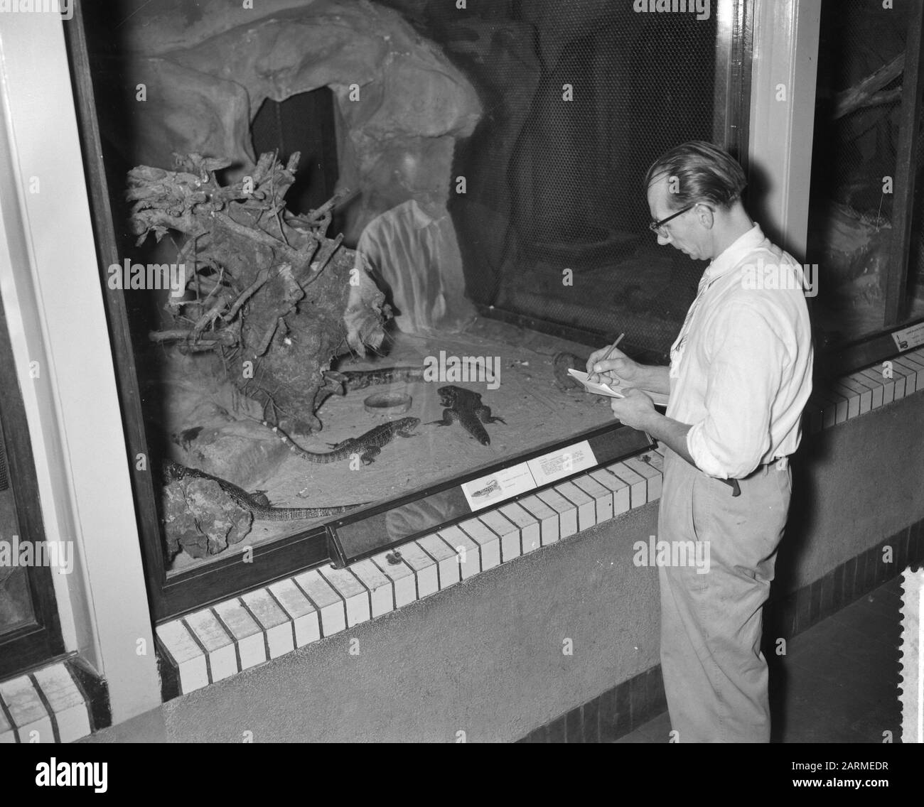 Reptile safety Black and White Stock Photos & Images - Alamy