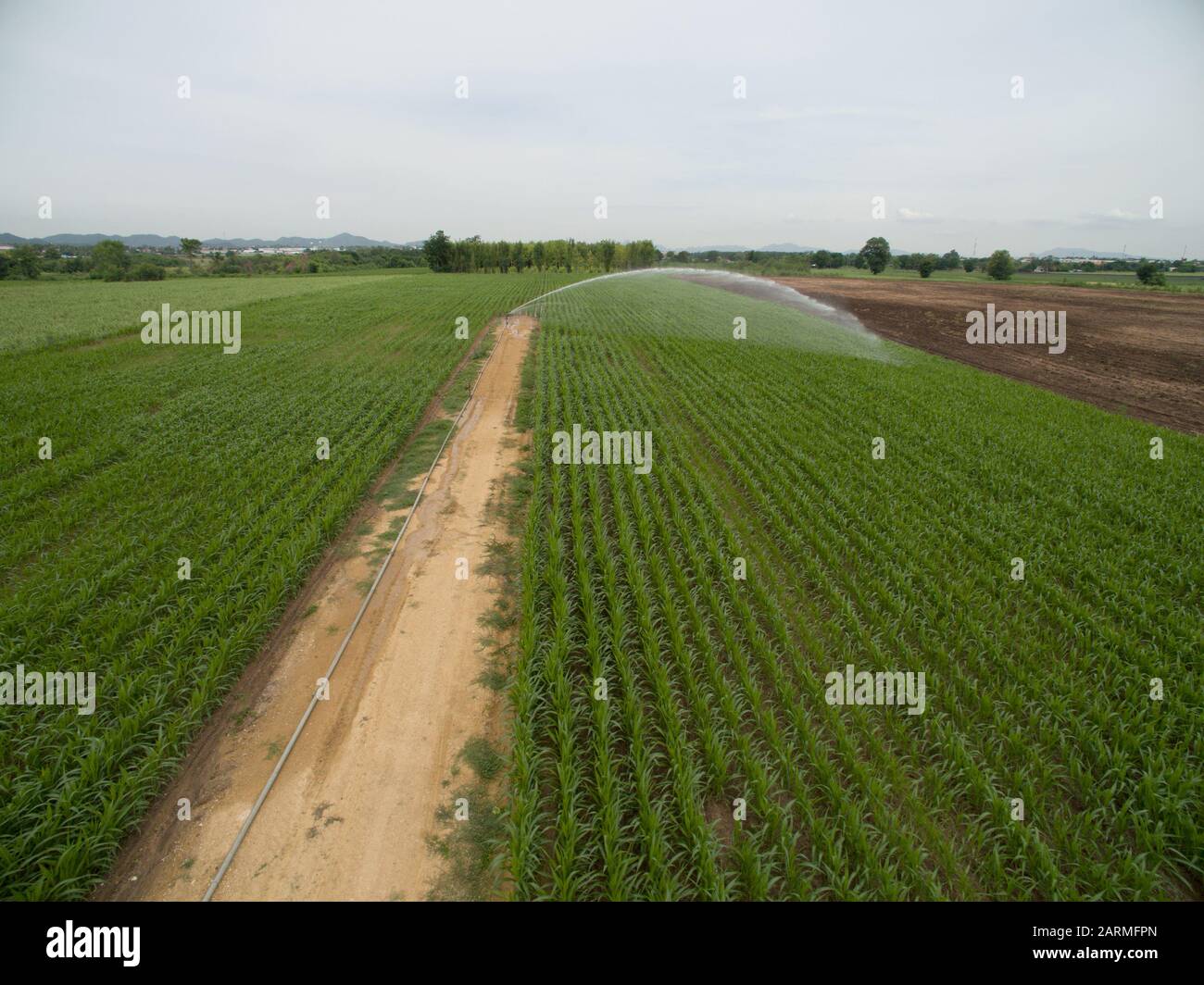 Aerial of corn field with overhead irrigation Stock Photo - Alamy