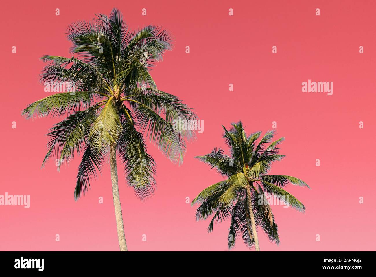 Abstract coconut hi-res stock photography and images - Alamy