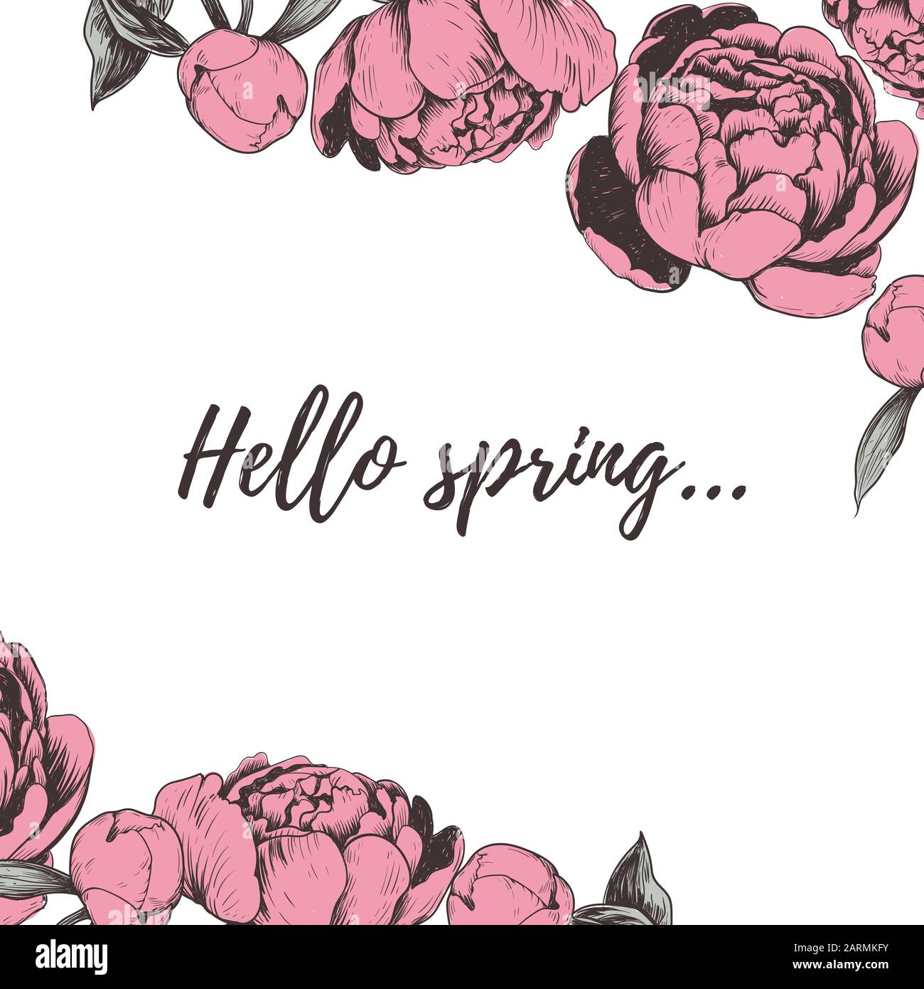 Hello spring lettering Peony vector illustration Stock Vector Image ...