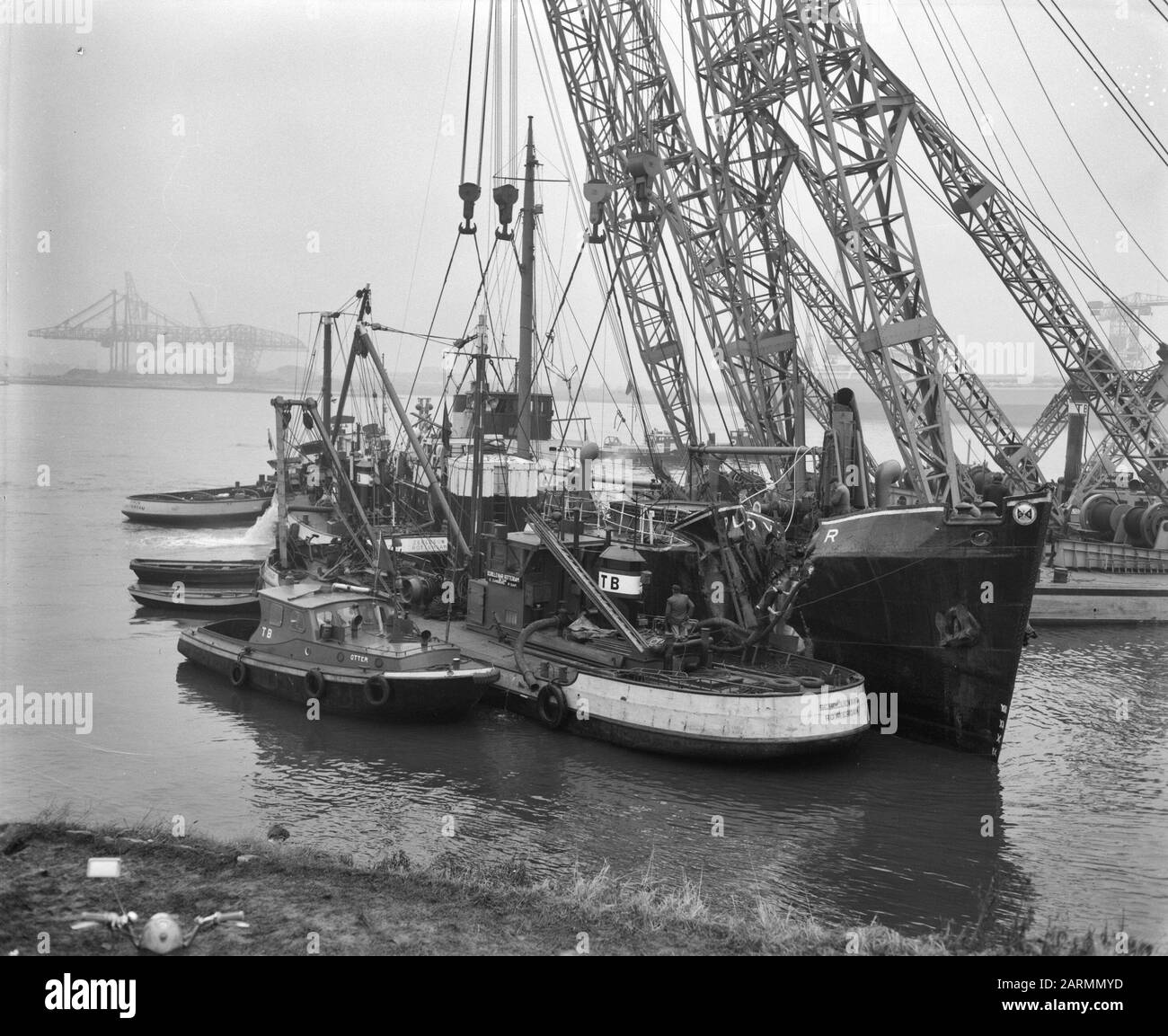 English ship plover hi-res stock photography and images - Alamy