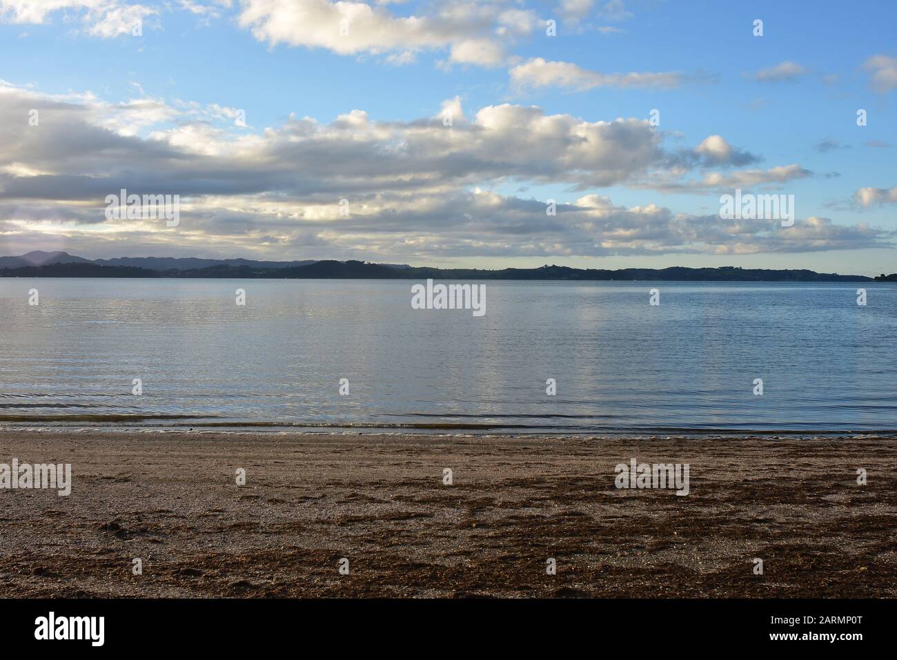 Very calm harbor with brown sea weeds on sandy shore Stock Photo - Alamy