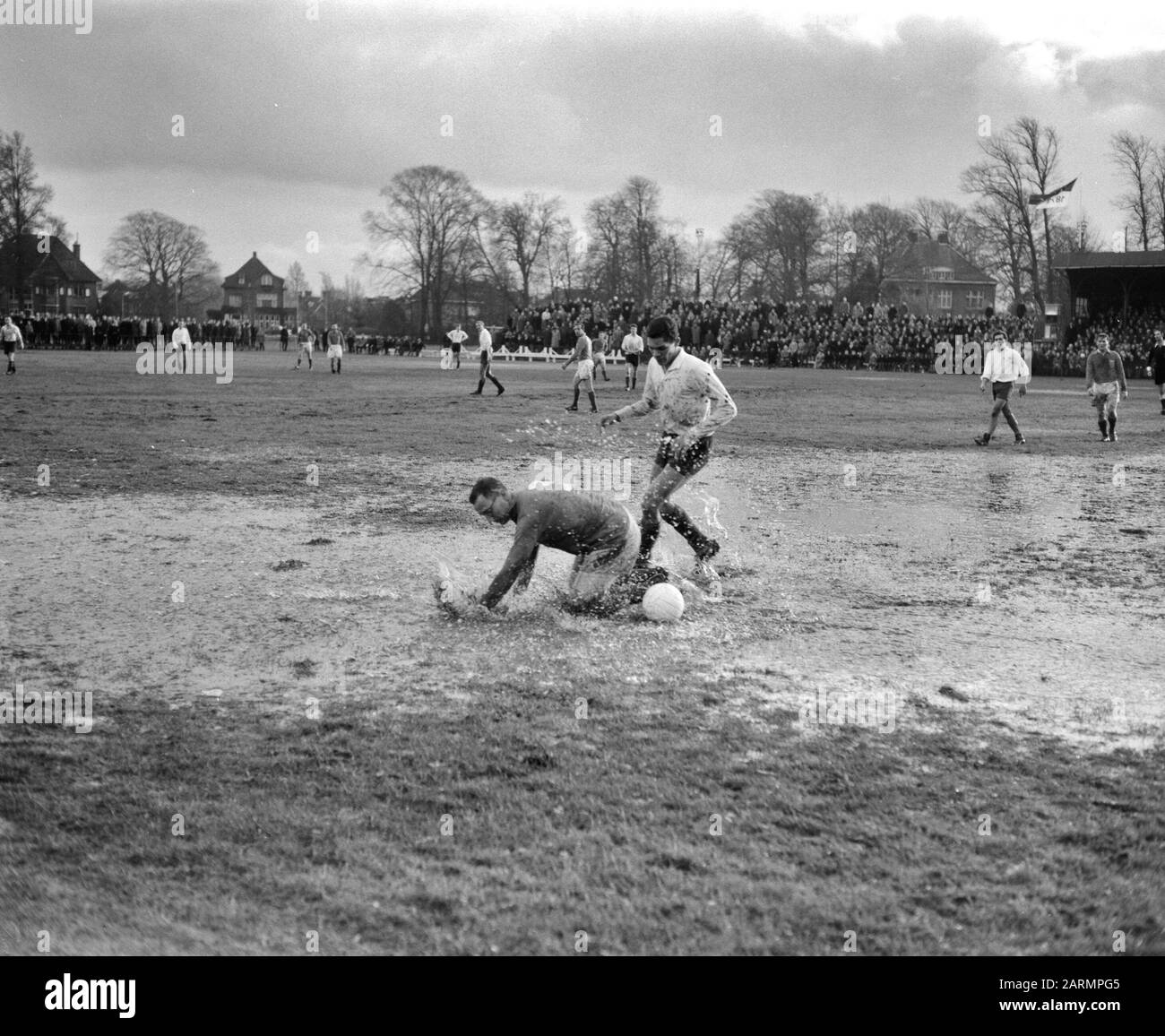 Joop stoffelen hi-res stock photography and images - Alamy