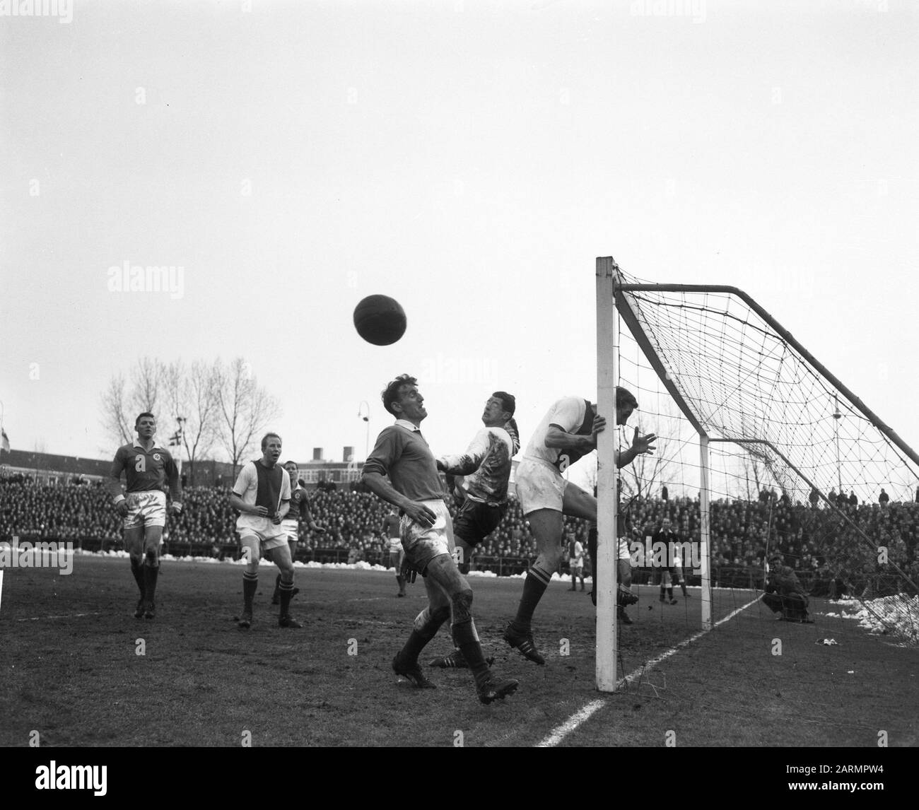 Henk groot flies hi-res stock photography and images - Alamy