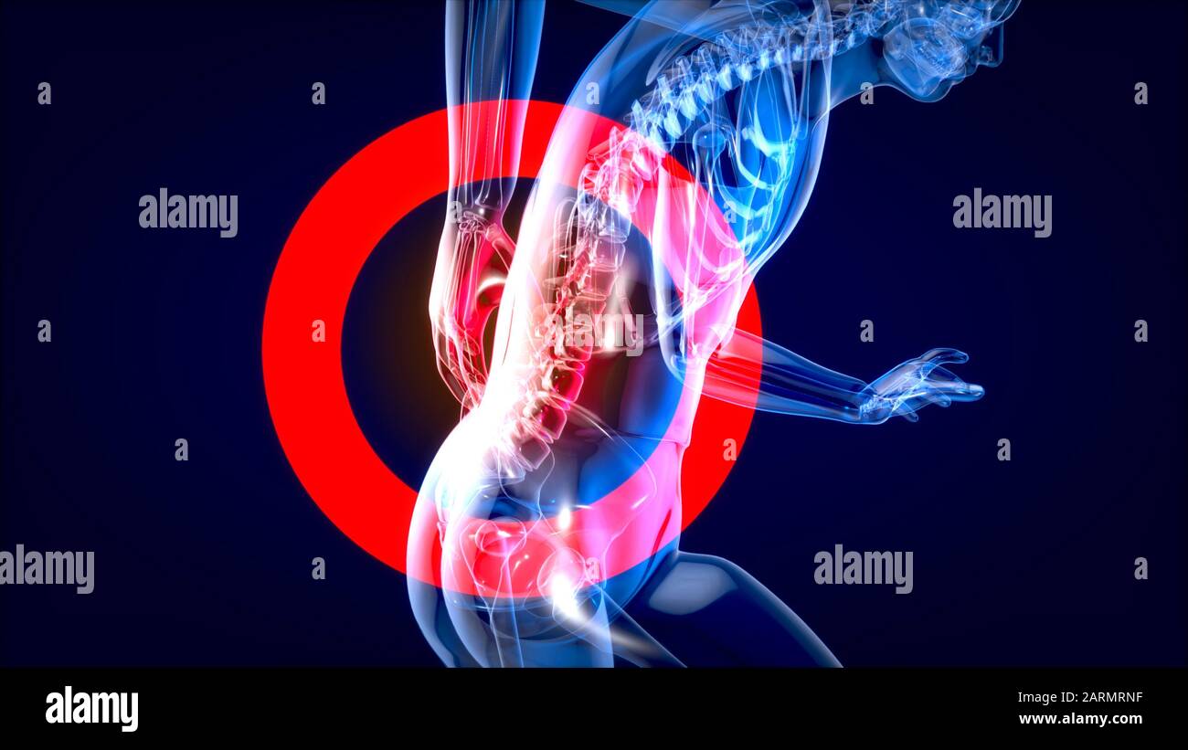 Lower back human xray hi-res stock photography and images - Alamy