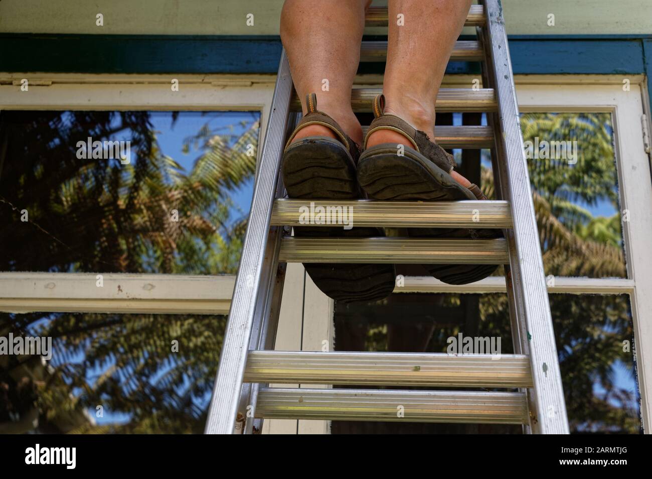 A man's legs and feet on a ladder in front of a window Stock Photo - Alamy