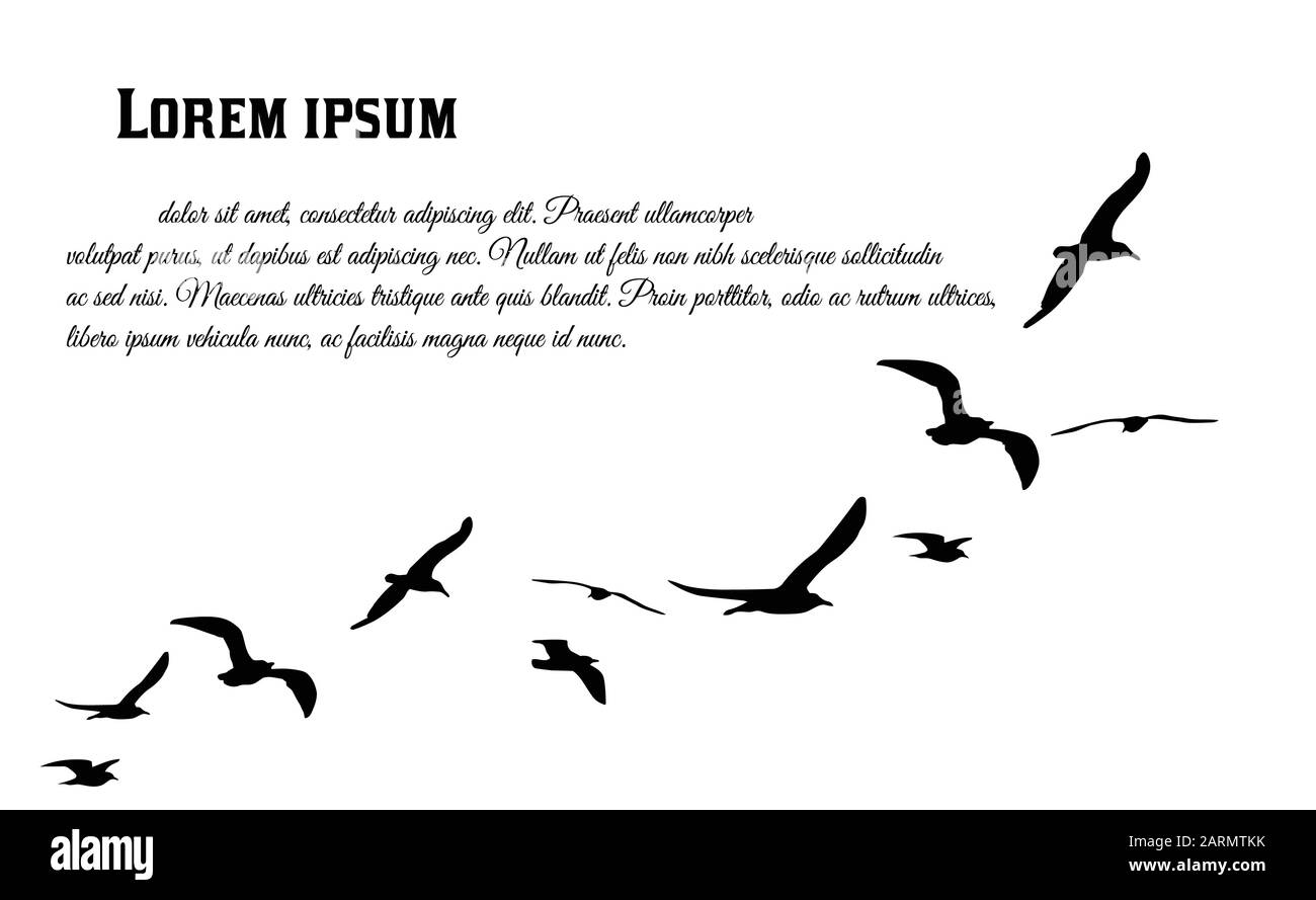 A flock of flying birds poster. Flying birds on white background with ...