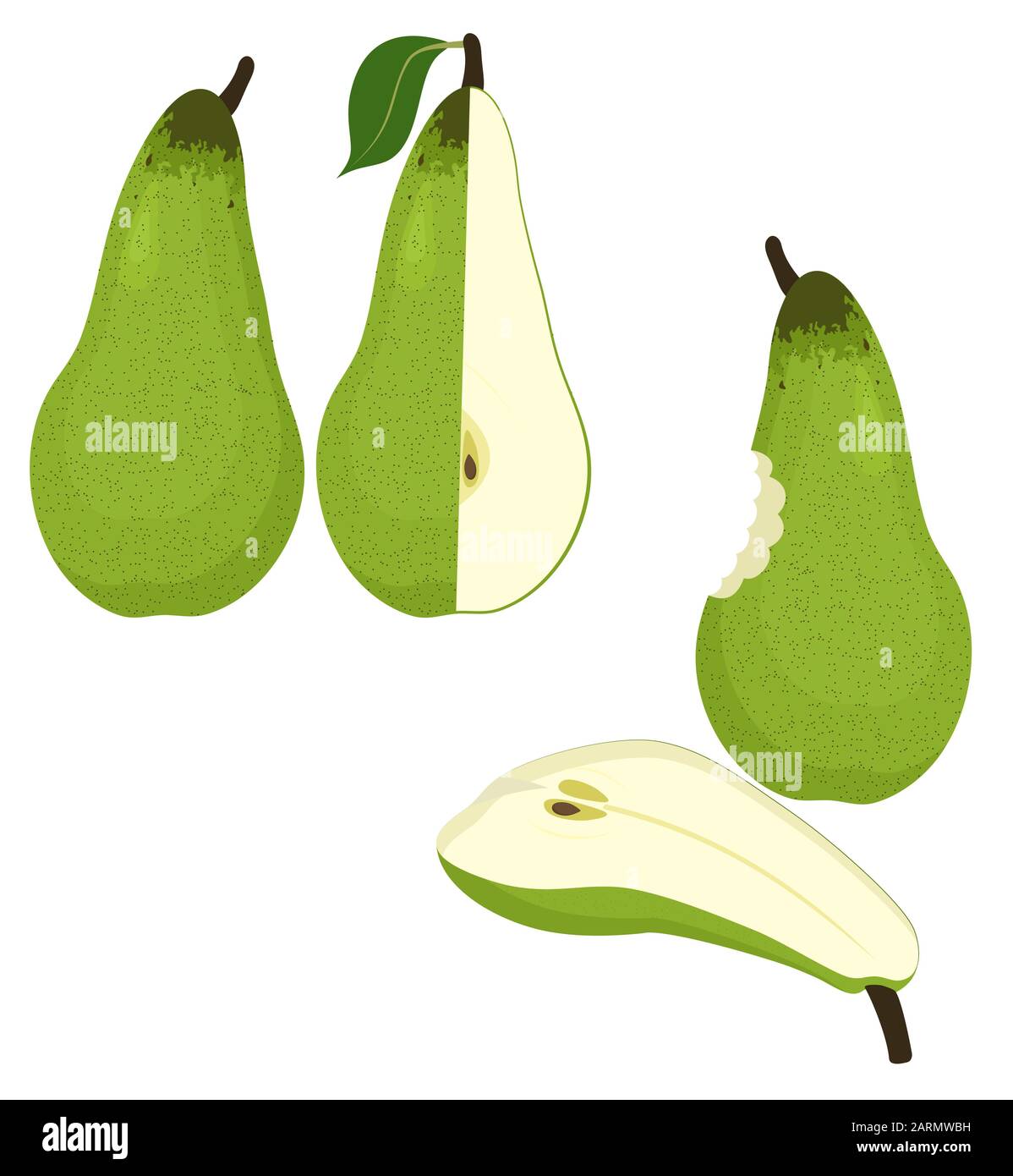 Pears vector illustration isolated on white background Stock Vector ...