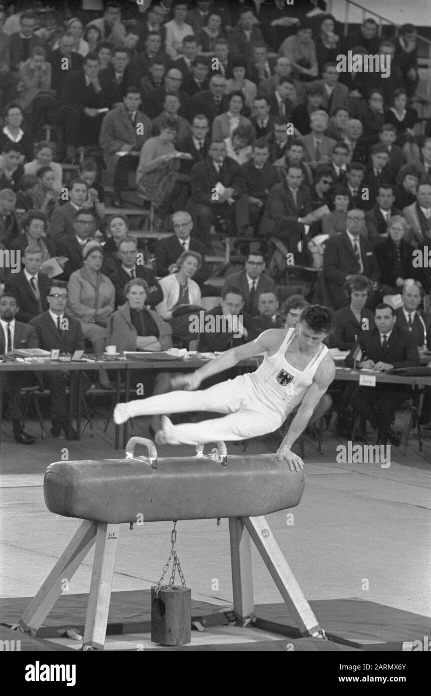 6 scrota martin hi-res stock photography and images - Alamy