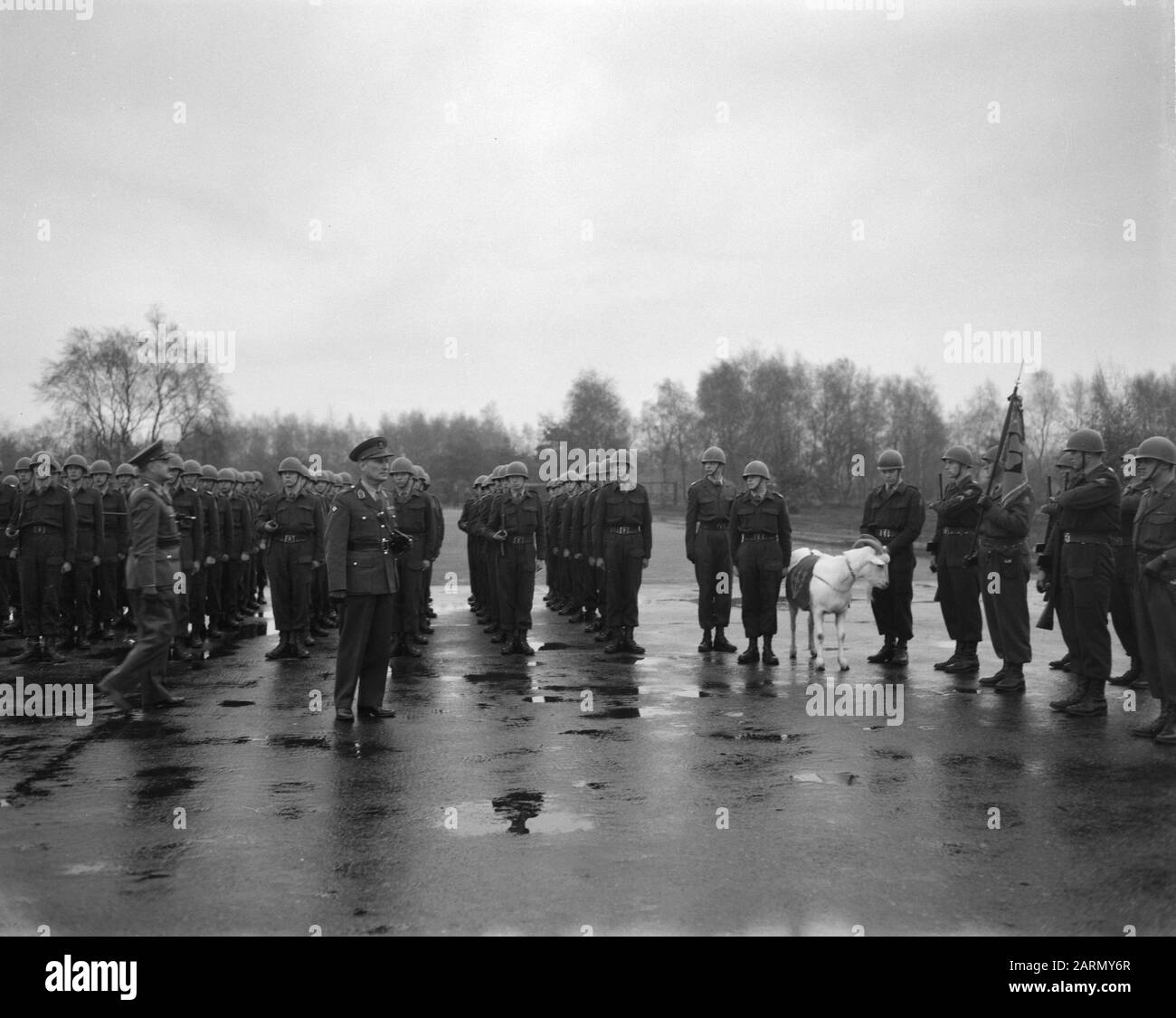 Entry 41 th Infantry battalion from New Guinea at 41 th armor Infantry ...