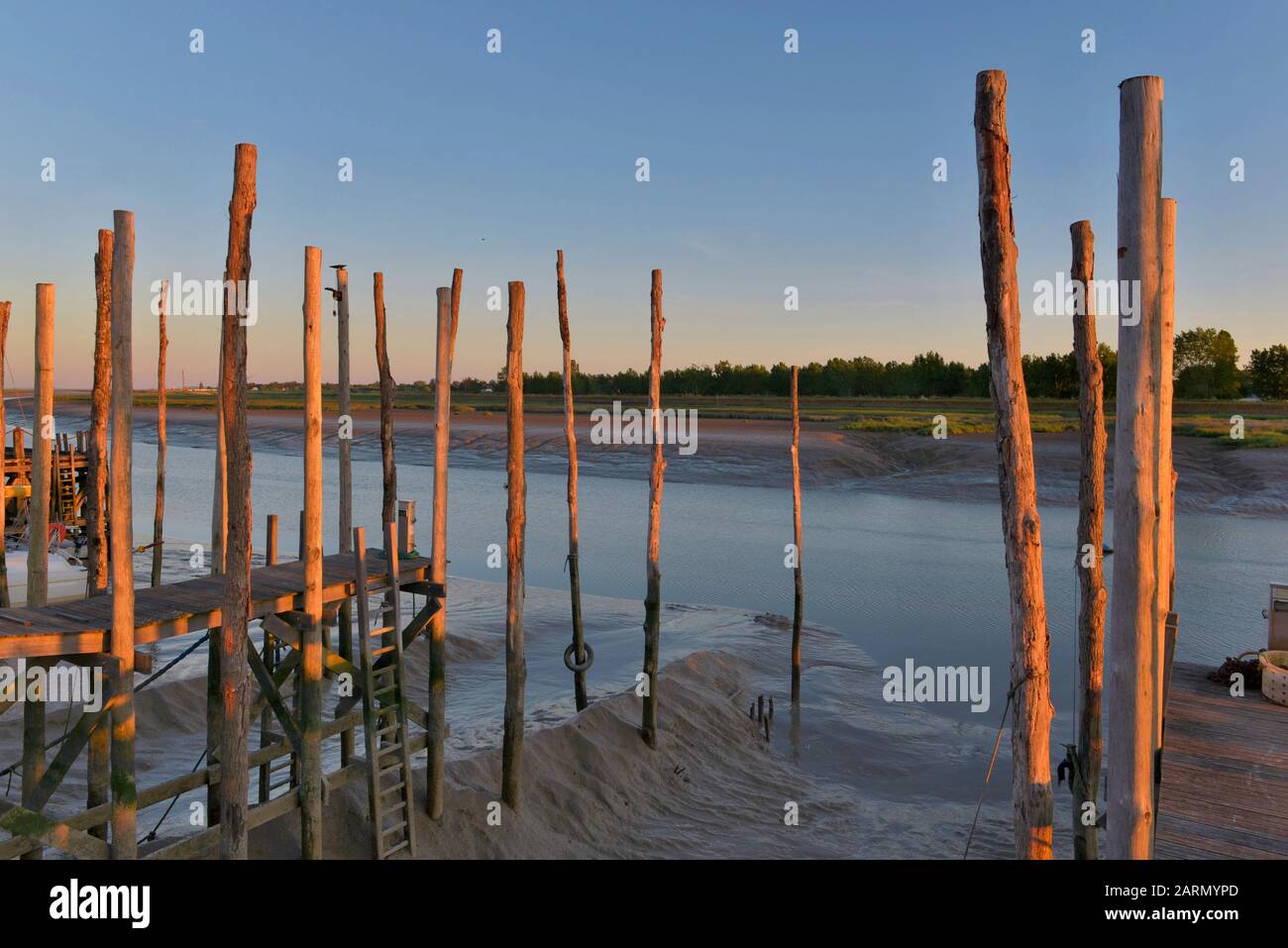 wooden poles lighting by sun at sunset in front of the sea Stock Photo ...