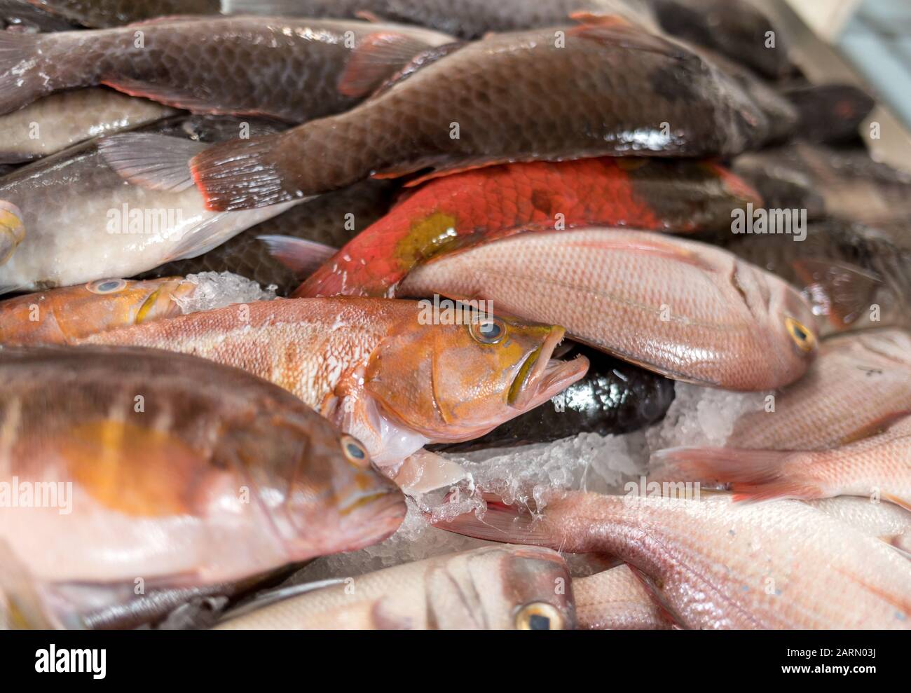 Fresh fish for sale at a fish market Stock Photo - Alamy