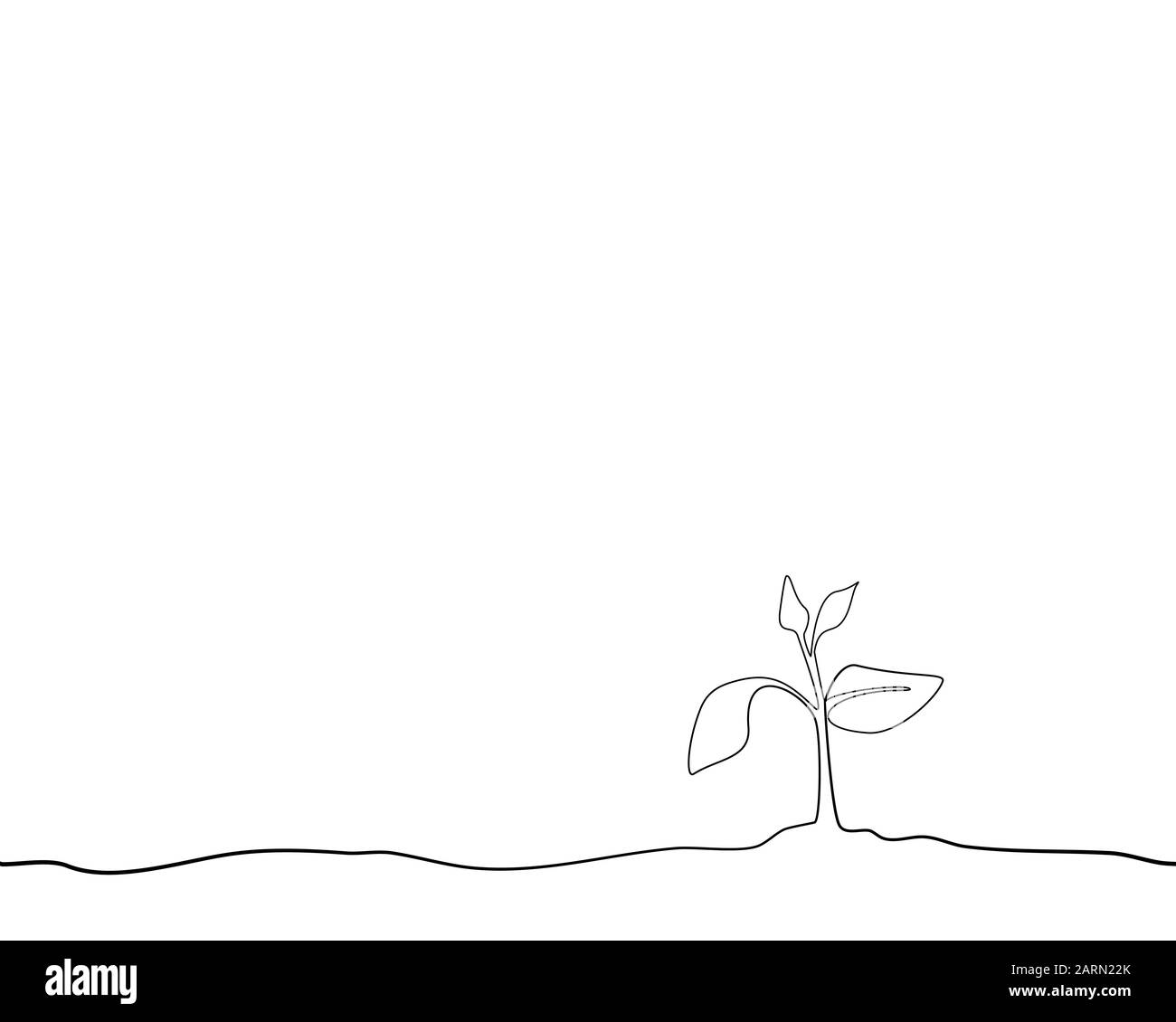 One line vector of a sapling grawing Stock Vector Image & Art - Alamy
