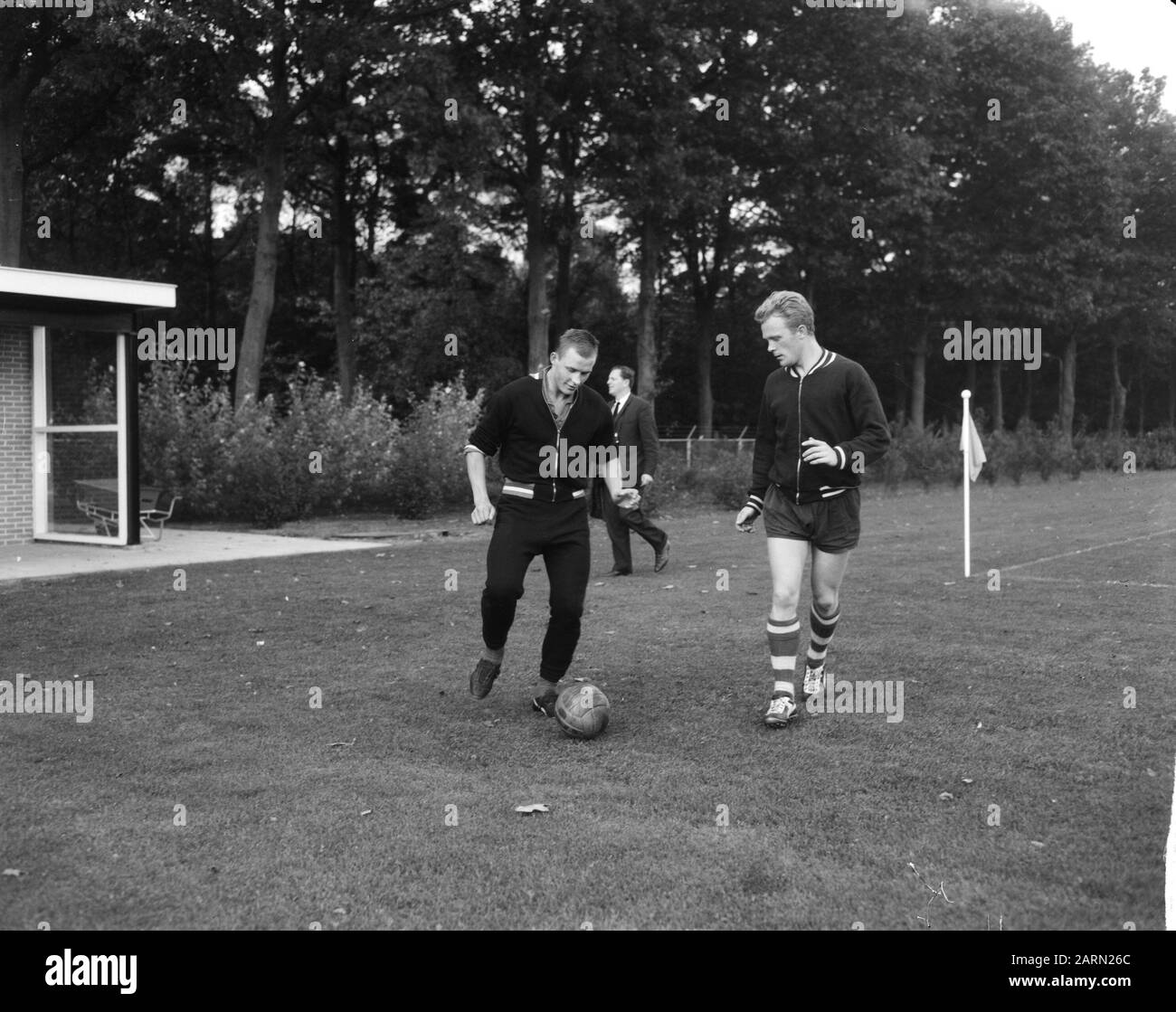 Right thyme hi-res stock photography and images - Alamy