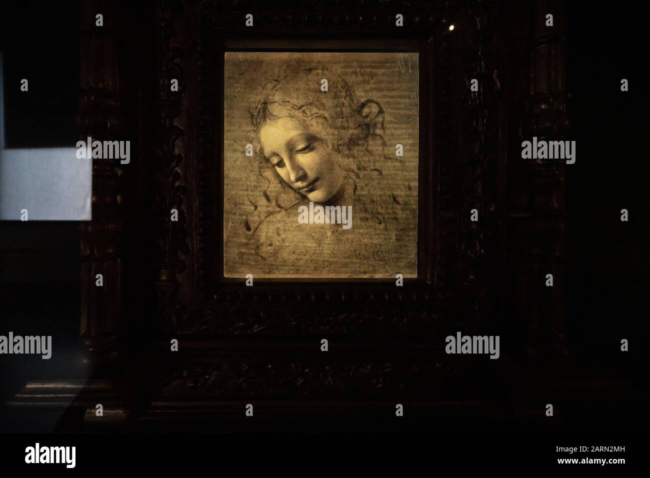 La Scapigliata High Resolution Stock Photography and Images - Alamy