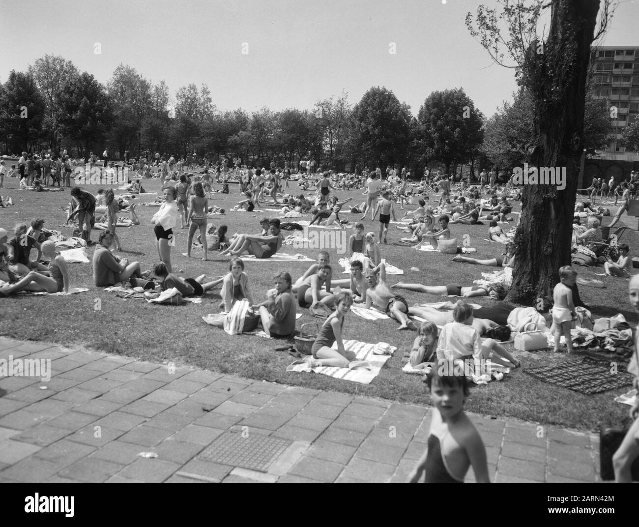 Busy in the Mirandabad, sunbathing on the lawn Date: May 19, 1964 ...