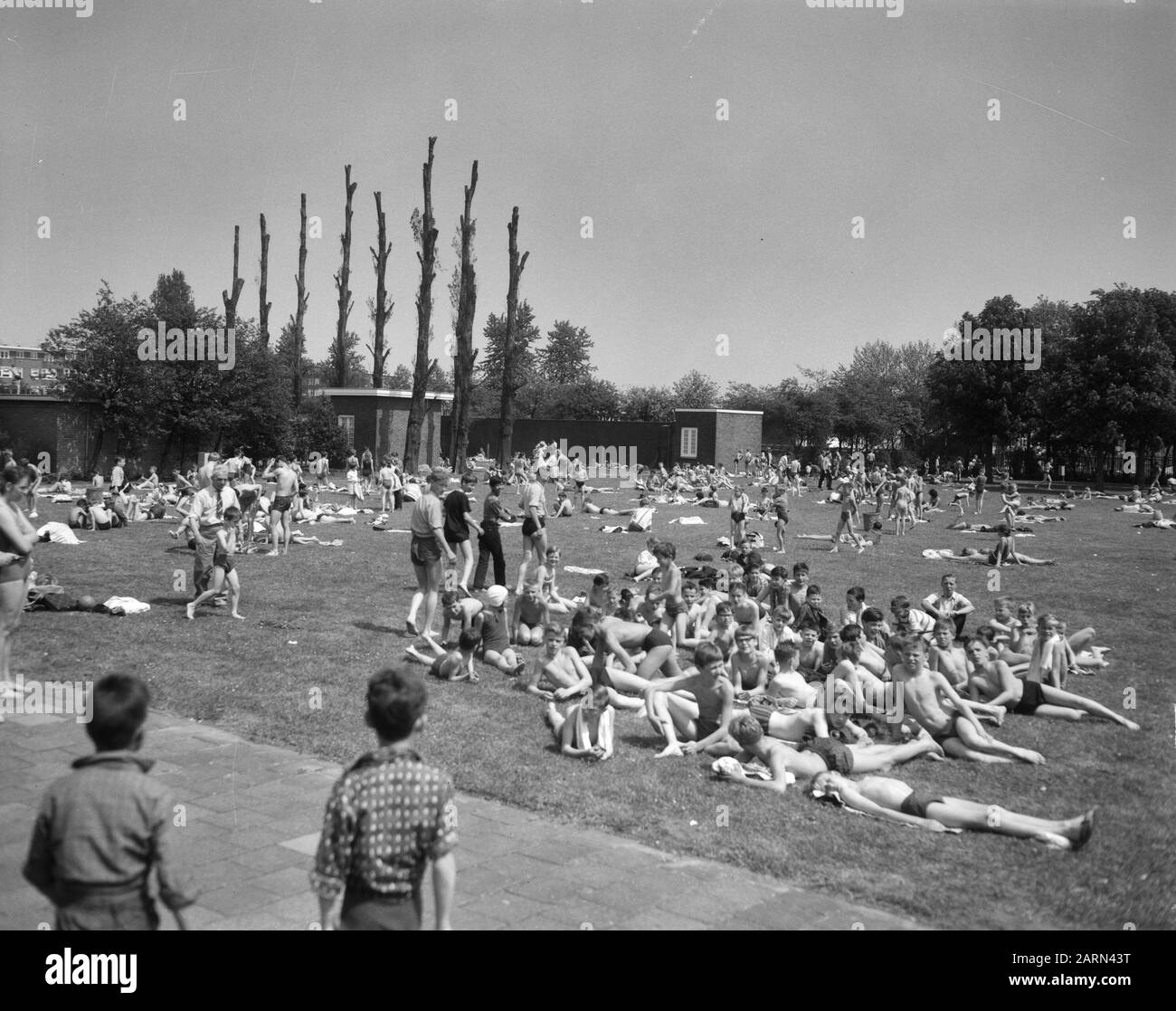 Busy in the Mirandabad, sunbathing on the lawn Date: May 19, 1964 ...