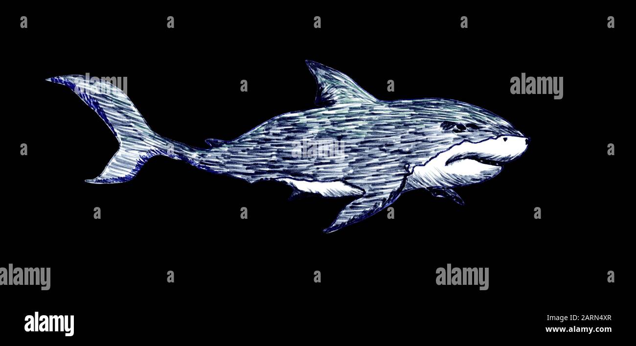 Predation Drawing Biology