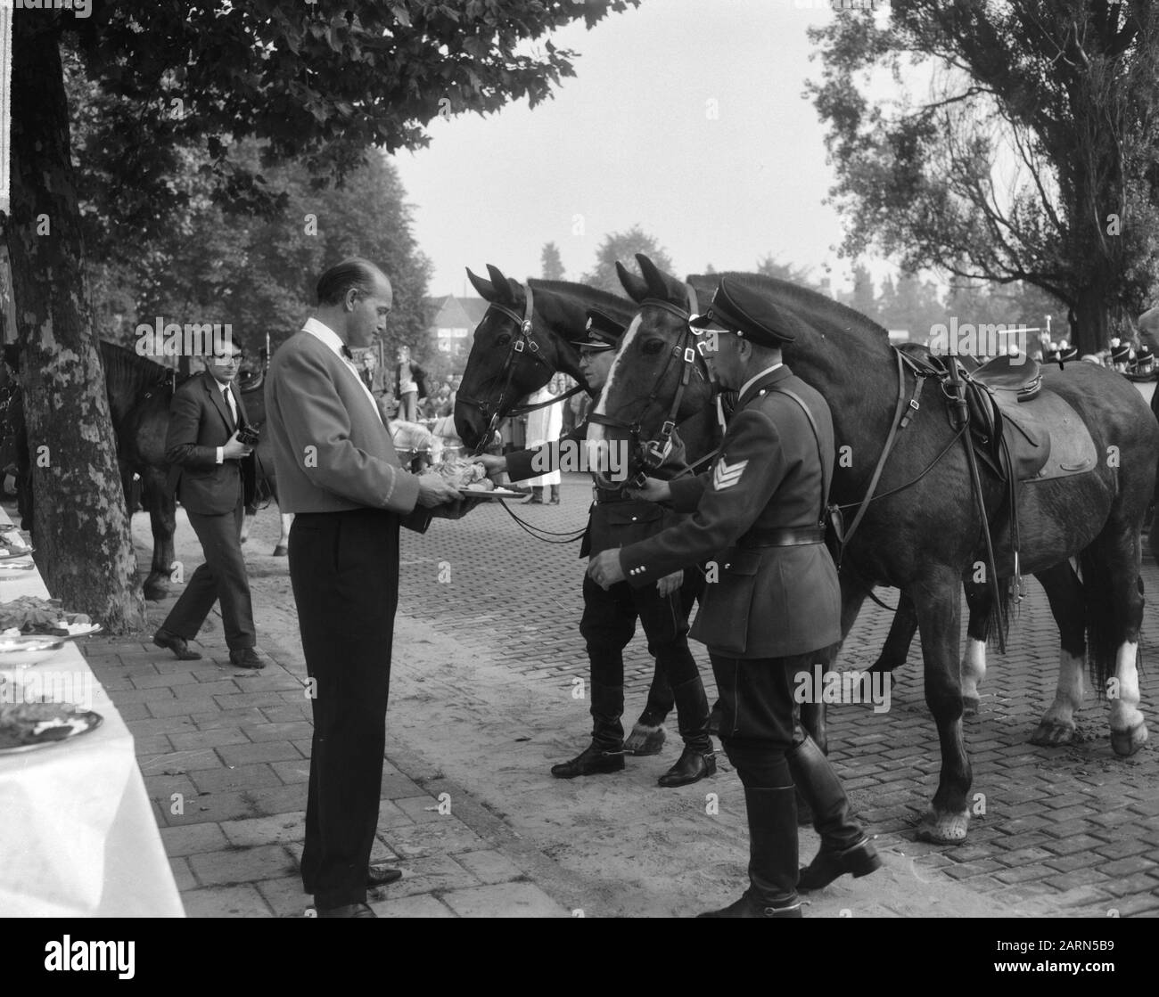 Duties animals Black and White Stock Photos & Images - Alamy