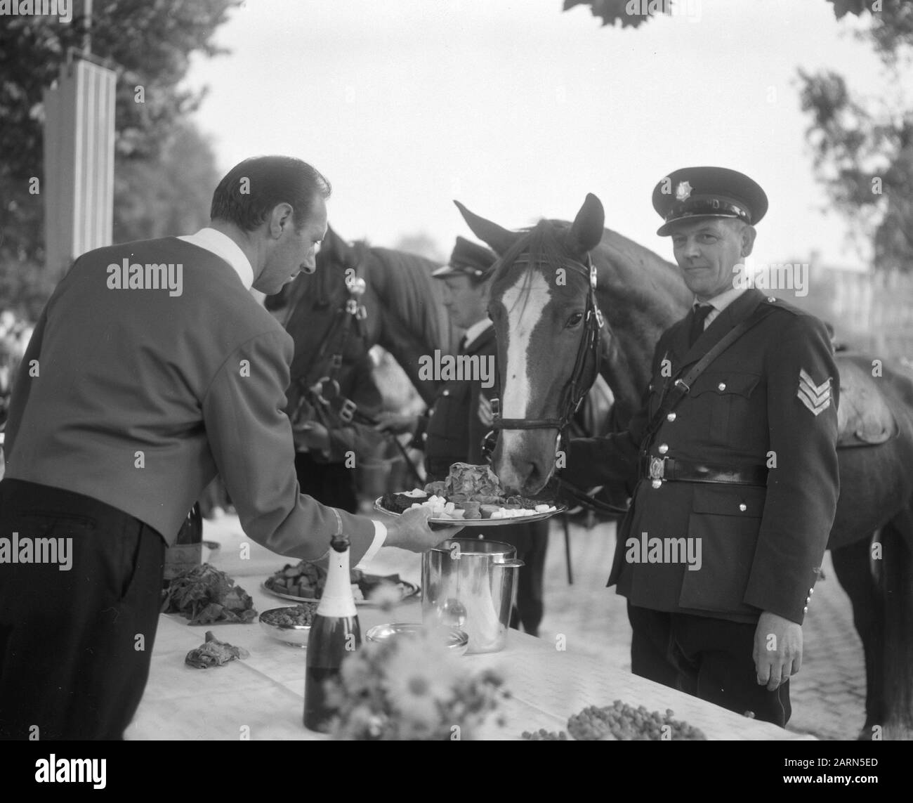 World Animal Day 1964, the horses during the meal Date: October 5, 1964 ...