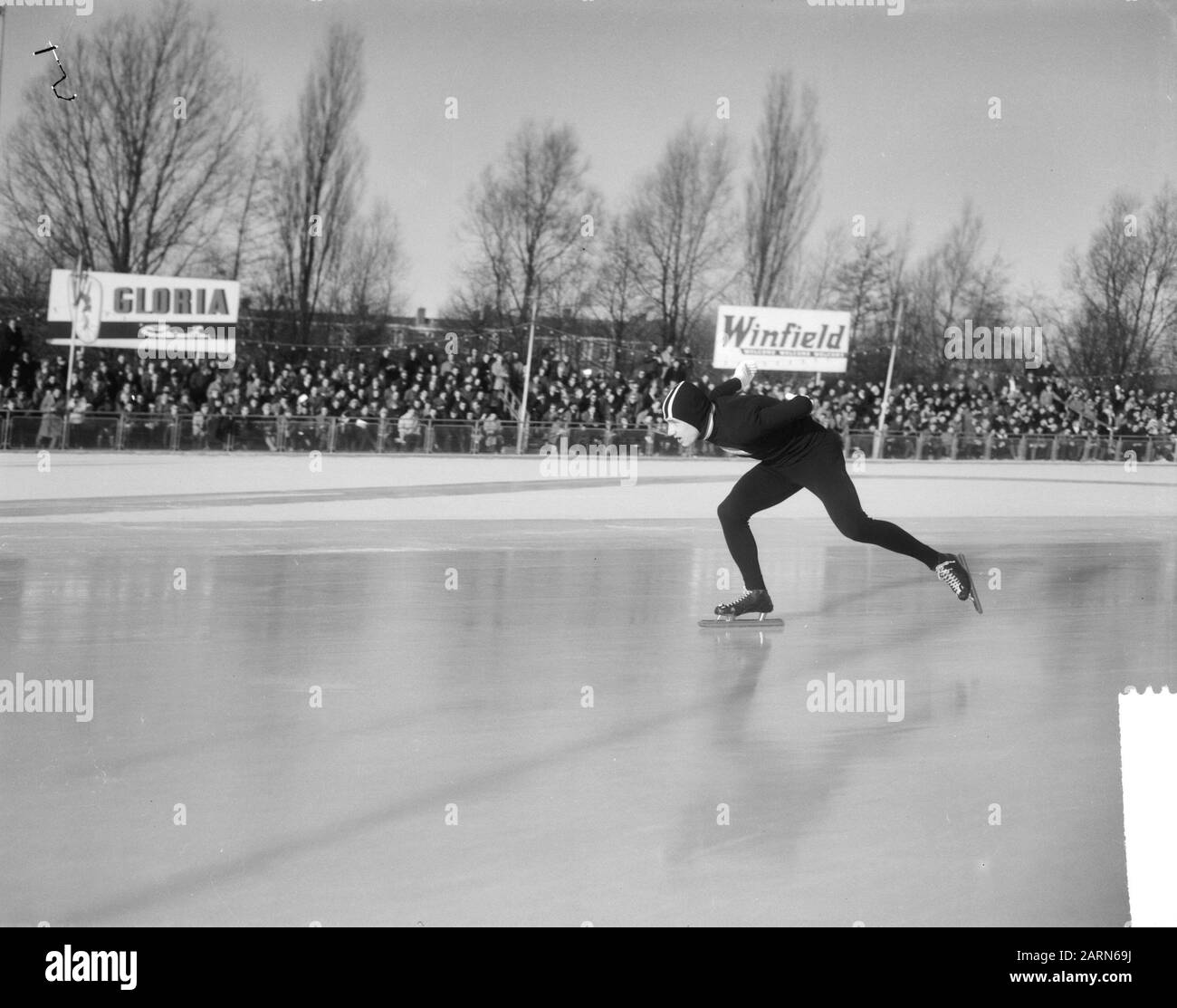 Amsterdam carry geijsen hi-res stock photography and images - Alamy