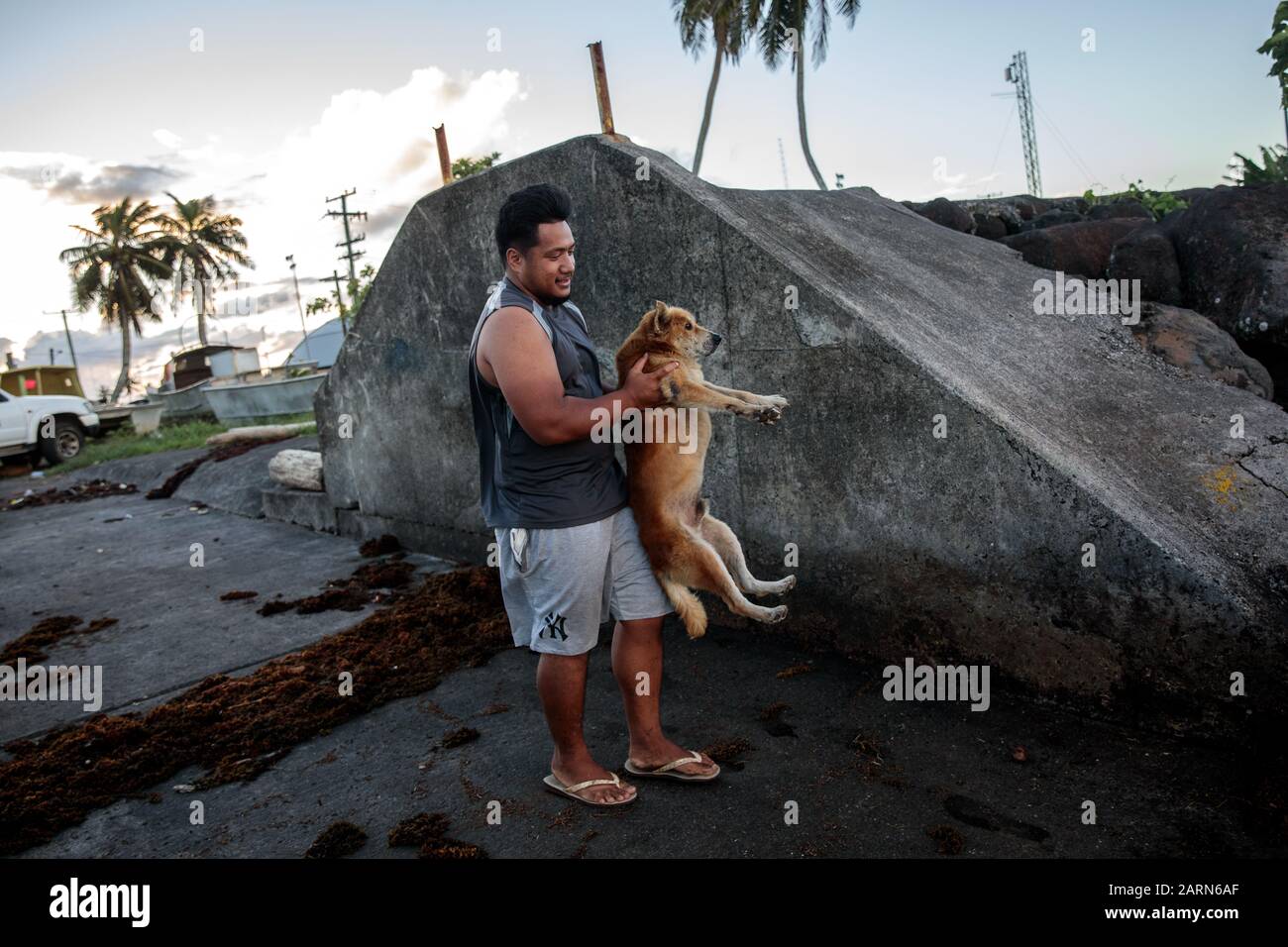 `A dog is taken for a wash in in Apia, Samoa Stock Photo - Alamy