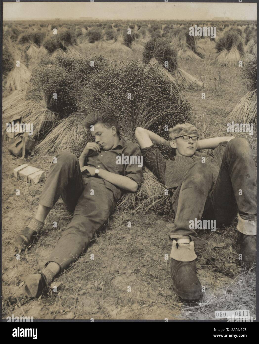 Bad farm practices hi-res stock photography and images - Alamy