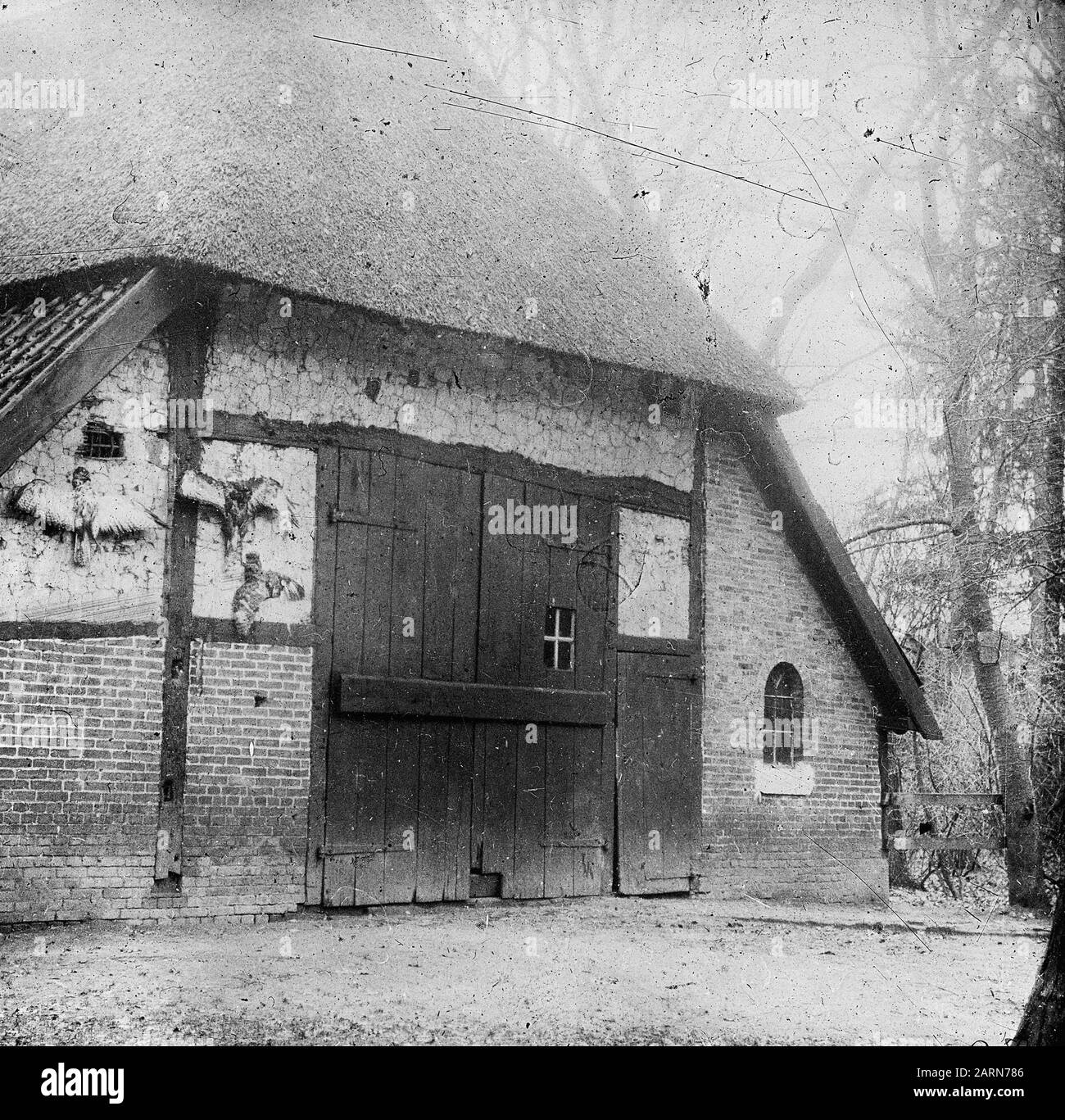 birds, church pit Date: undated Keywords: birds Person name: church pit ...