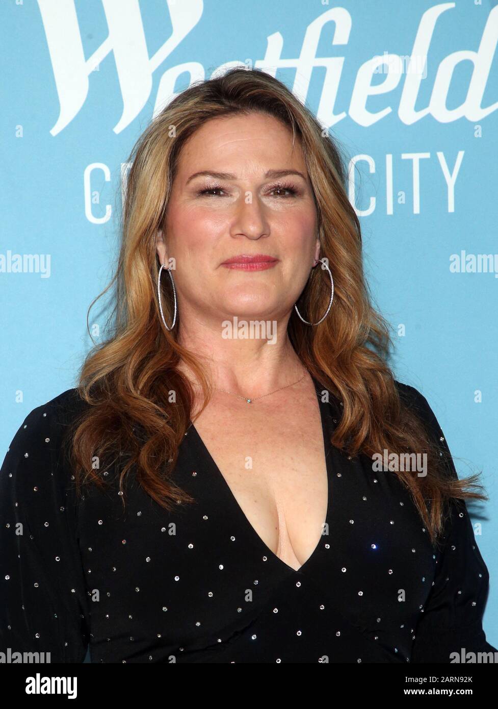 28 January 2020 - Beverly Hills, California - Ana Gasteyer. 22nd ...