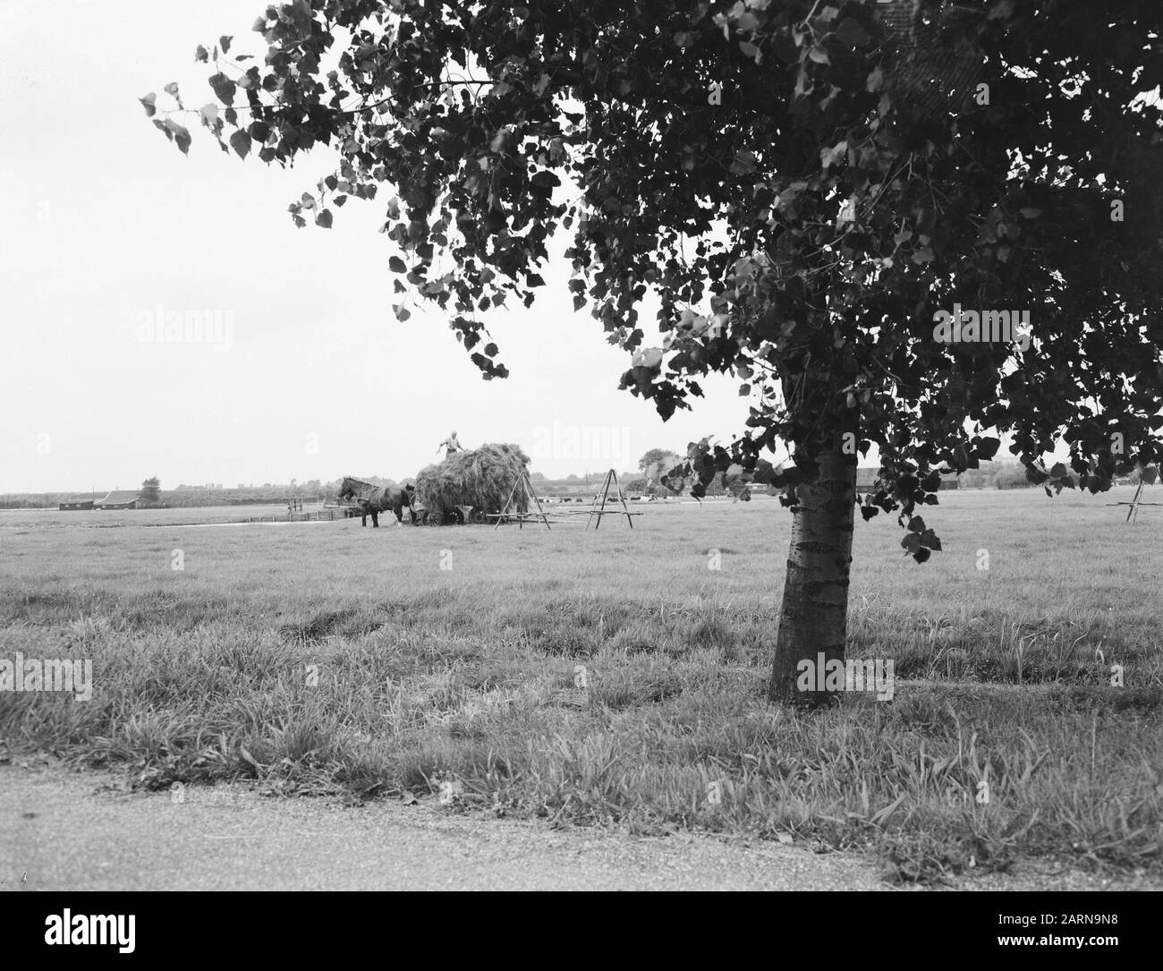 Picking up hay Black and White Stock Photos & Images - Alamy