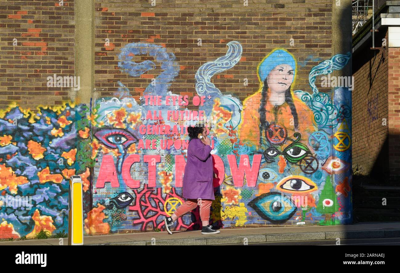 Woman walks past an Extinction Rebellion climate change mural with ...