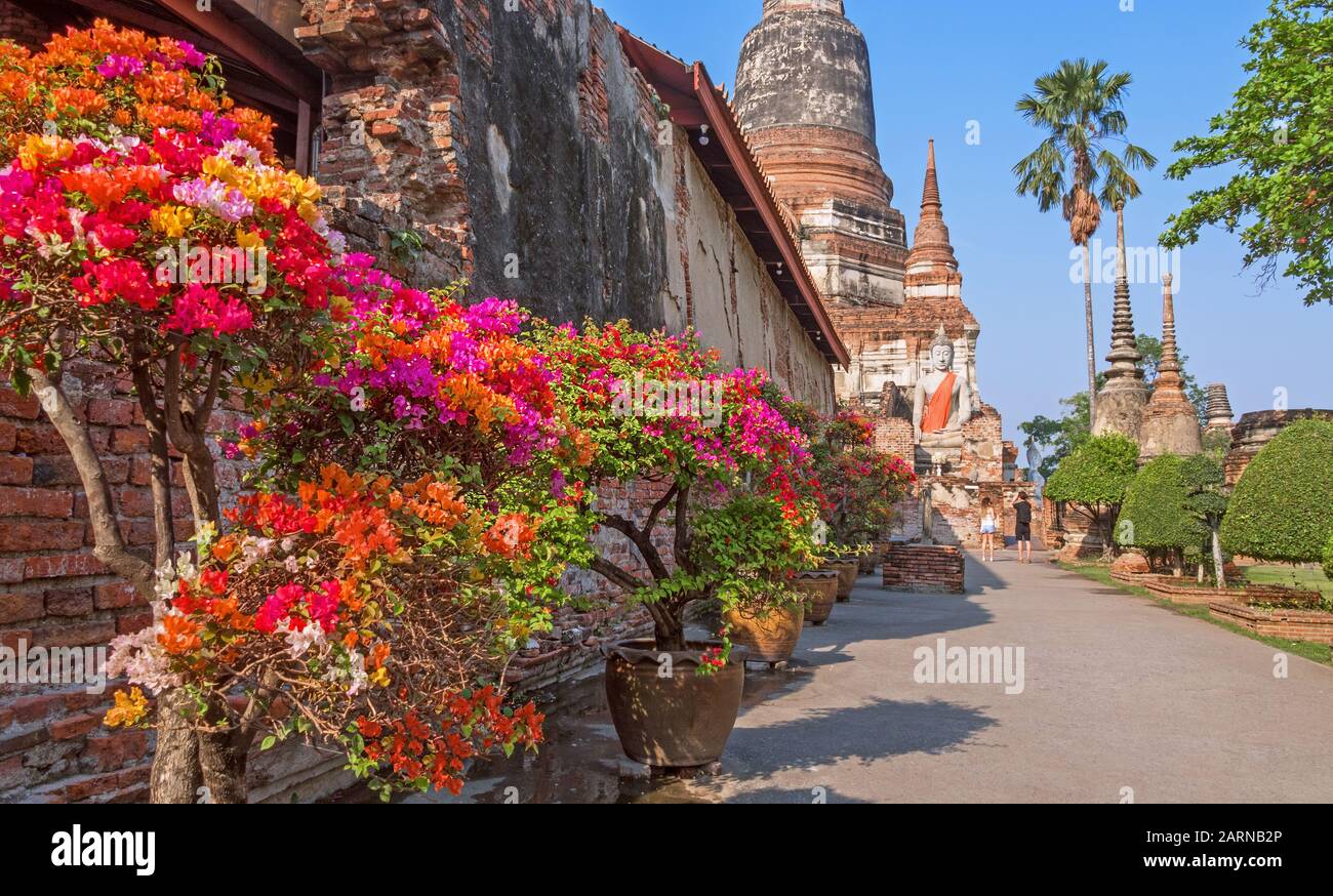 Bright flowering of colorful flowers at the entrance to the Buddhist ...