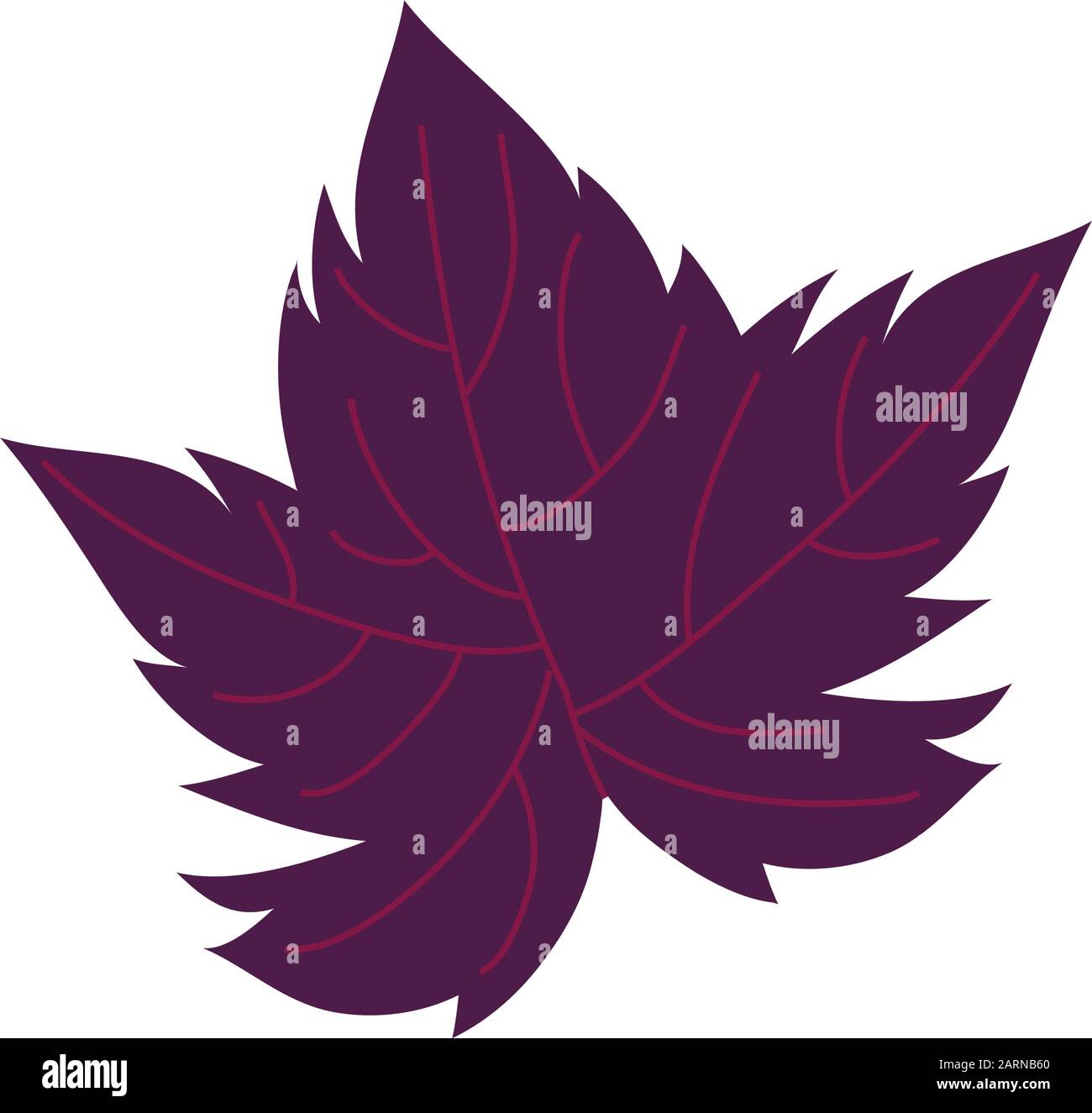 grape plant leaf nature icon Stock Vector Image & Art - Alamy