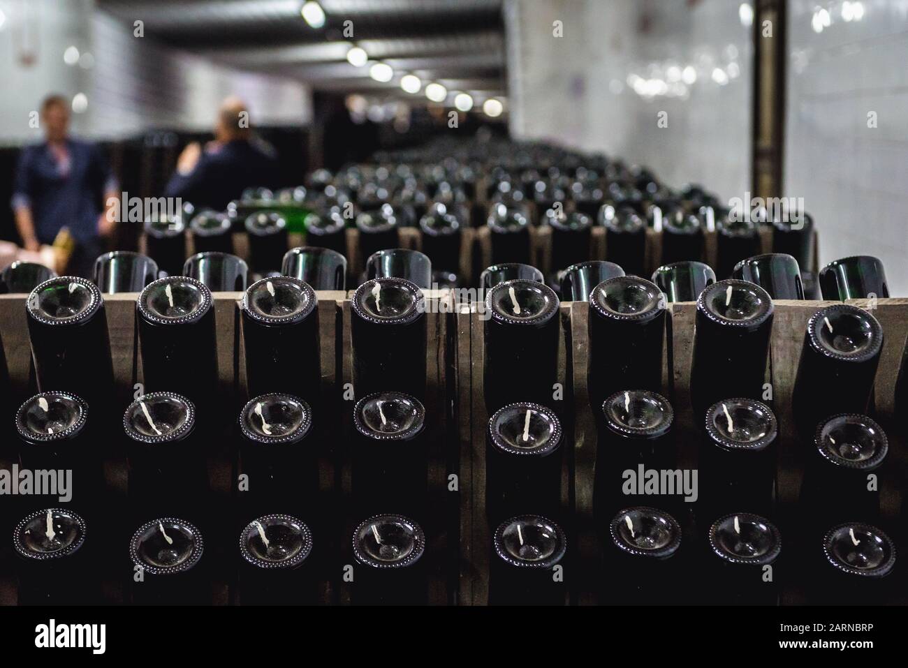 Racks with wine bottles during riddling production process in famous ...