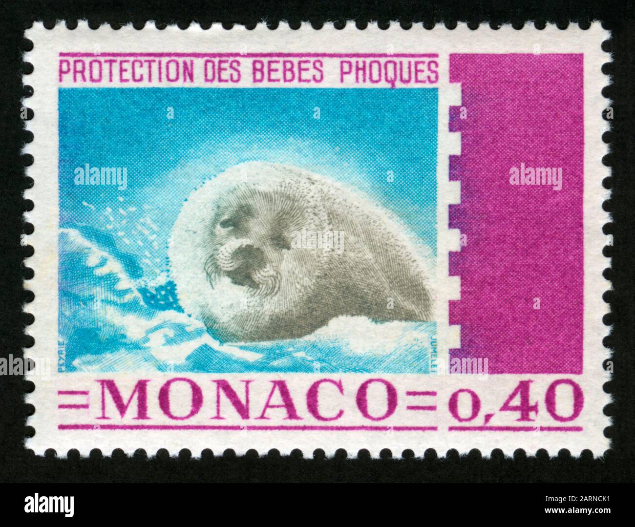 Protection of seal babies hi-res stock photography and images - Alamy