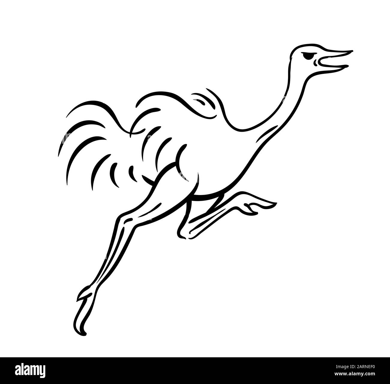 Ostrich running vector illustration sketch of bird outline drawing in ...
