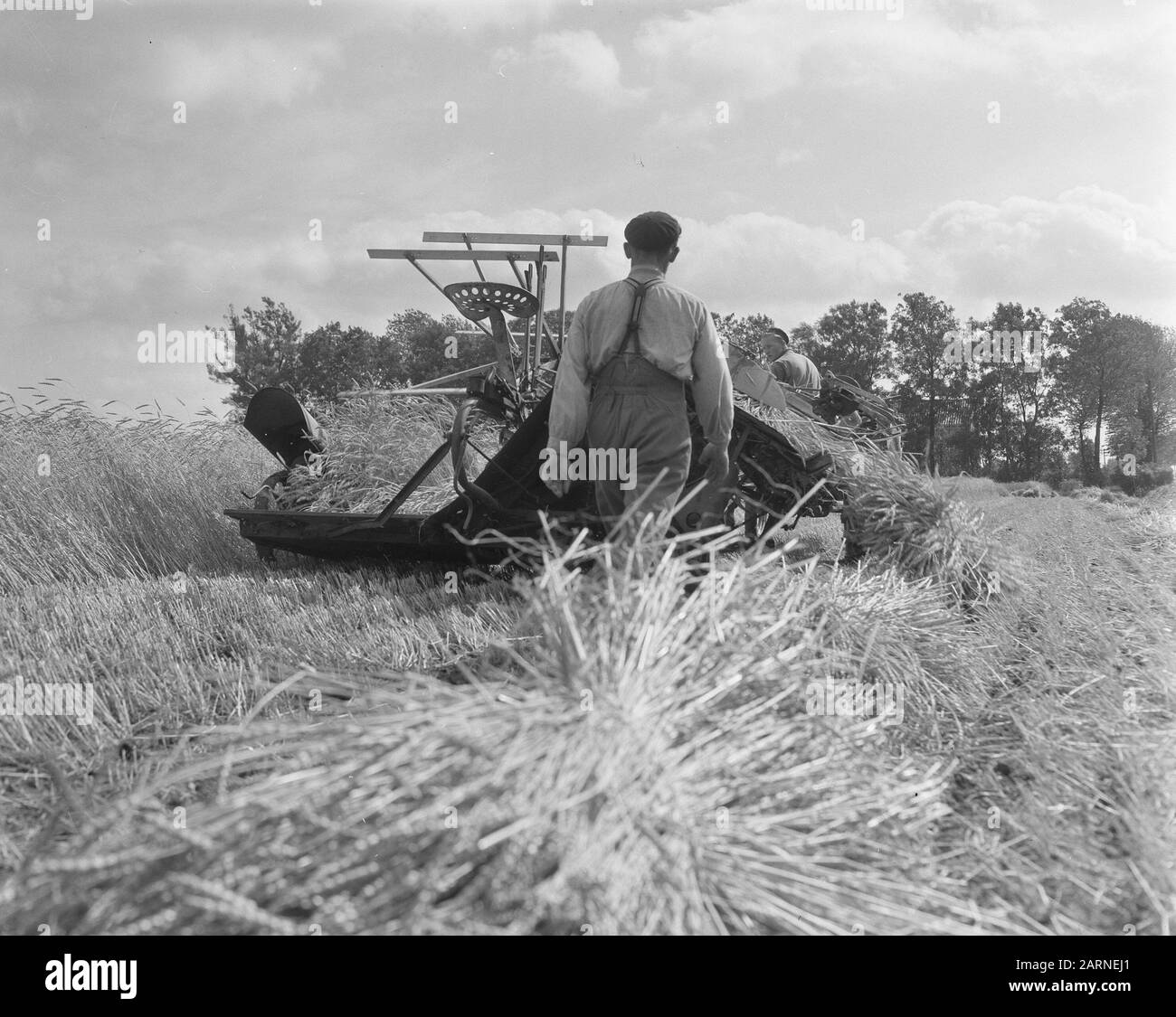 Harven High Resolution Stock Photography and Images - Alamy